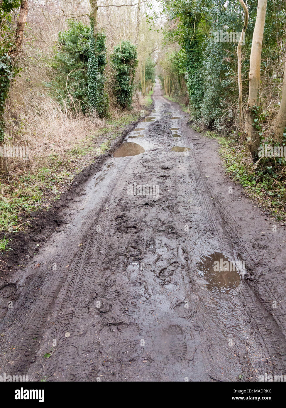 Muddy Country Road