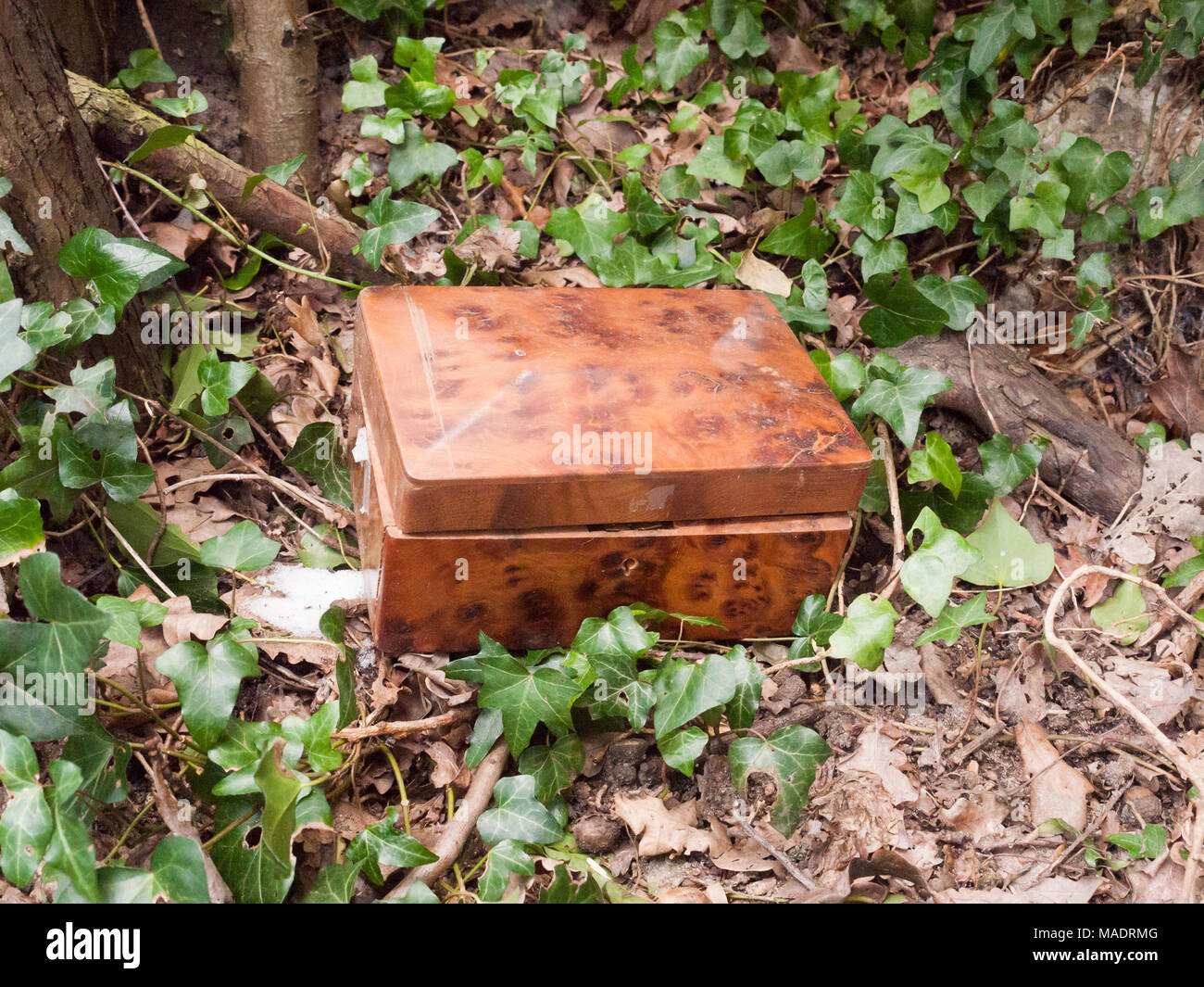 small wooden box outside in nature forest wood special; essex; england ...