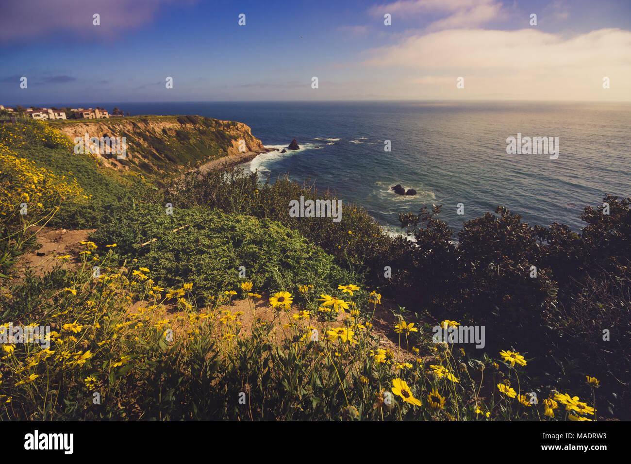 Cliffs covered with wild flowers hi-res stock photography and images ...