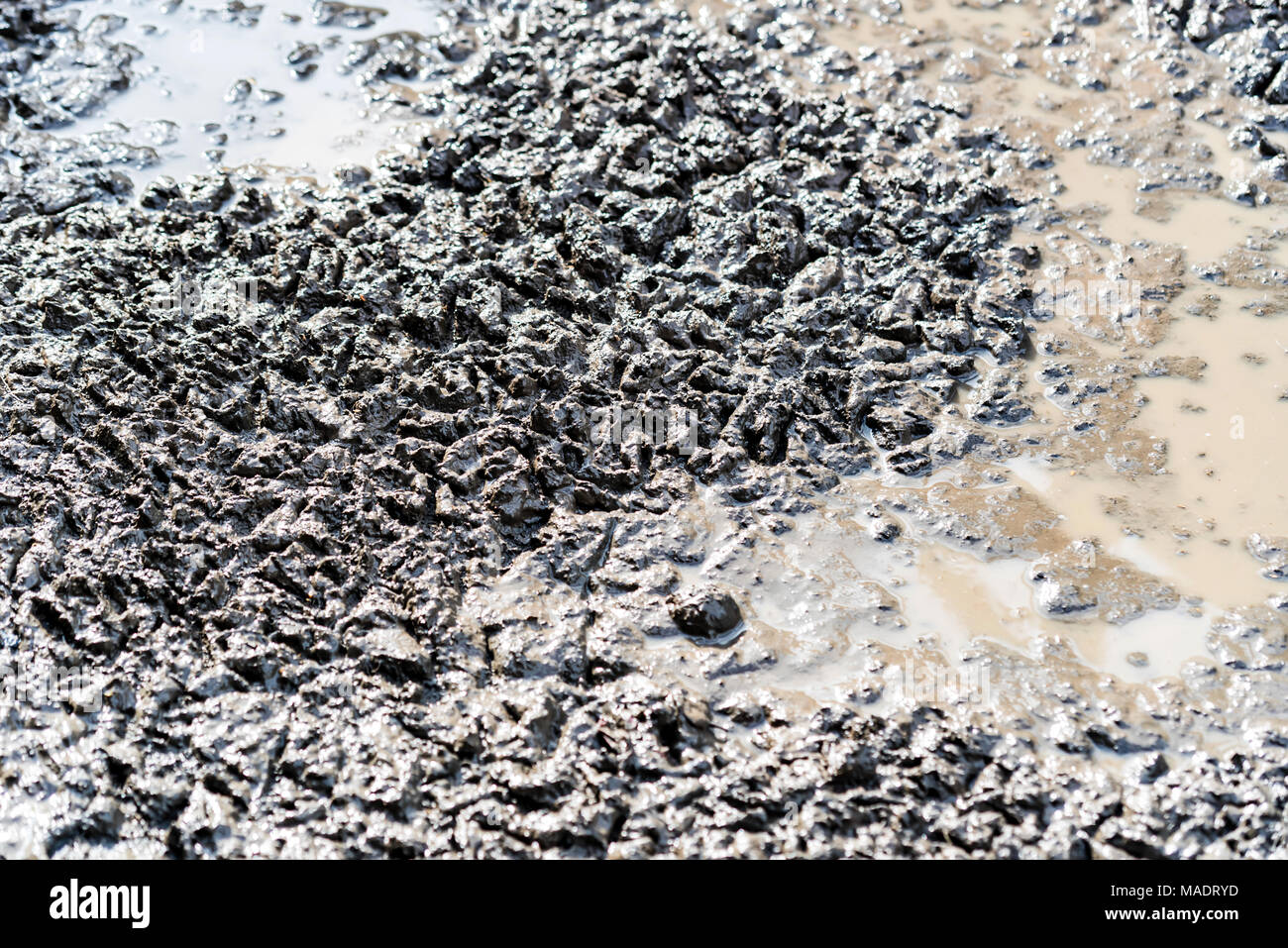 Texture Mud Wet Dirt Puddle High Resolution Stock Photography and ...