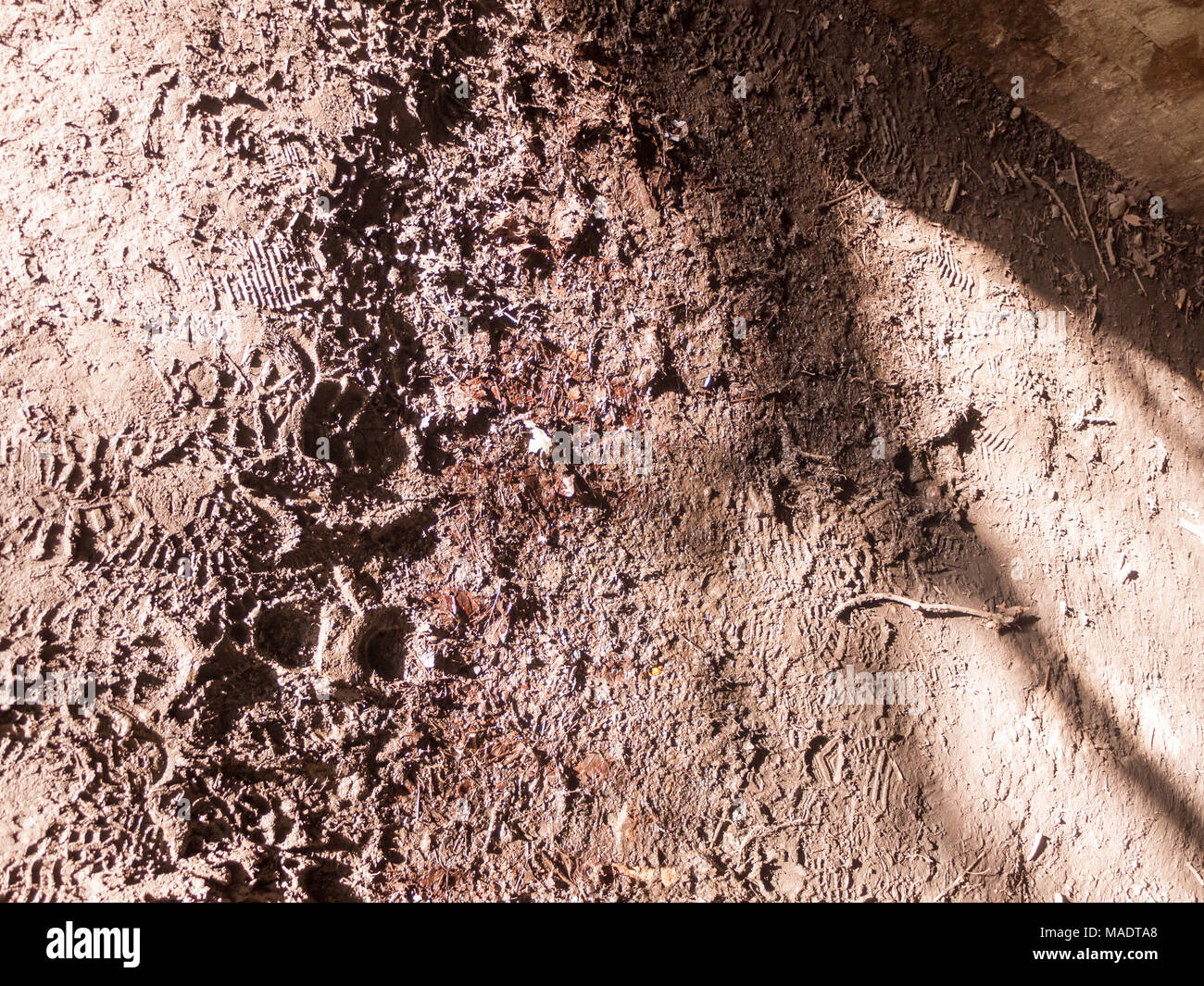 sunny muddy floor with foot prints surface outside path texture detail ...