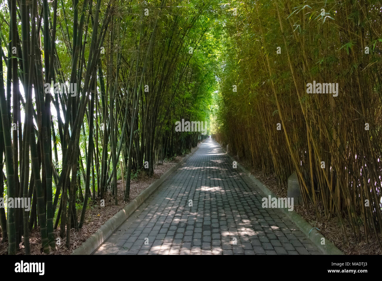 Path in chinese garden hi-res stock photography and images - Alamy