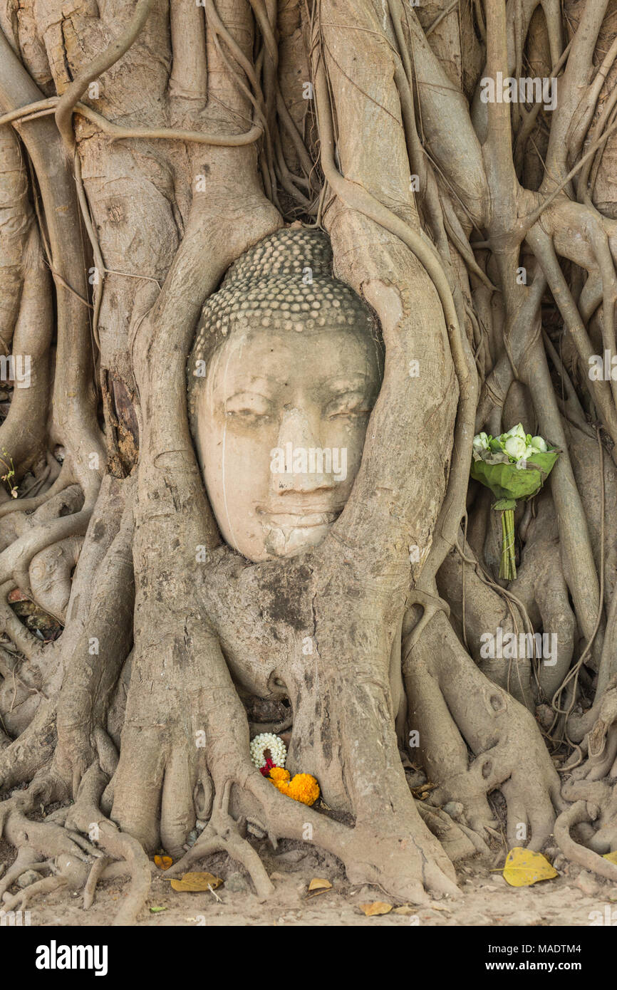 Ayuthaya landmarks hi-res stock photography and images - Alamy