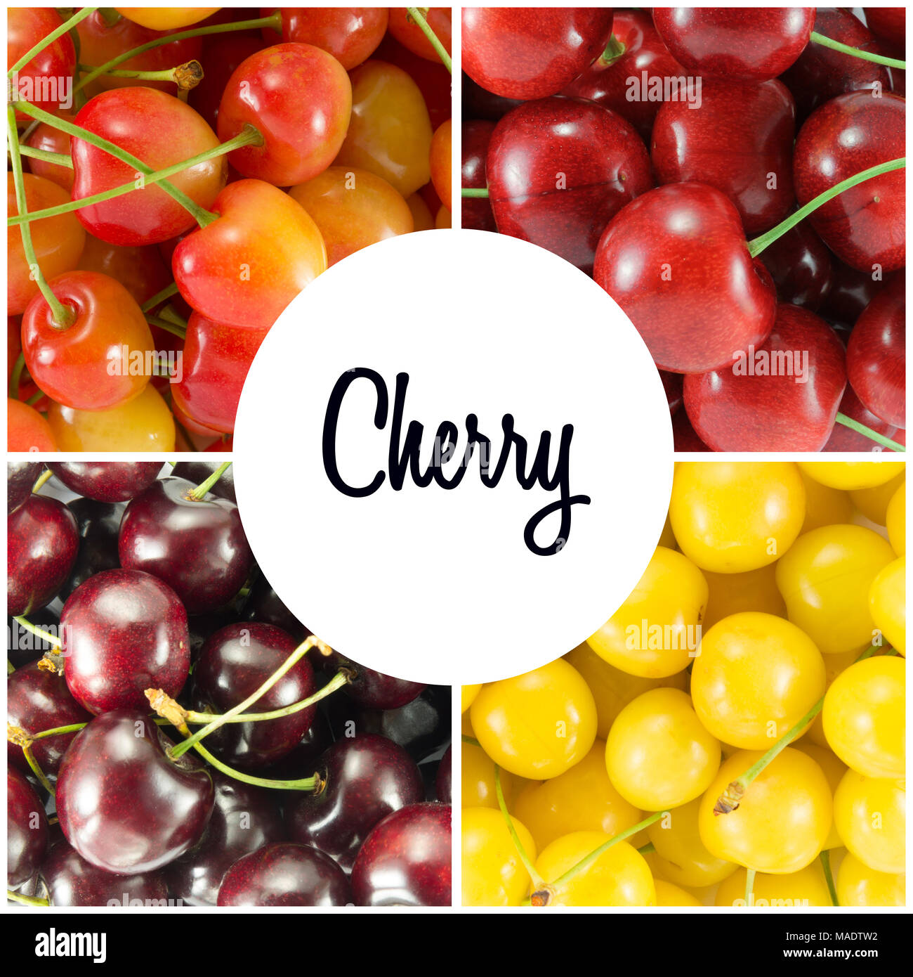Collage from different varieties of sweet cherry (colorful) - square ...