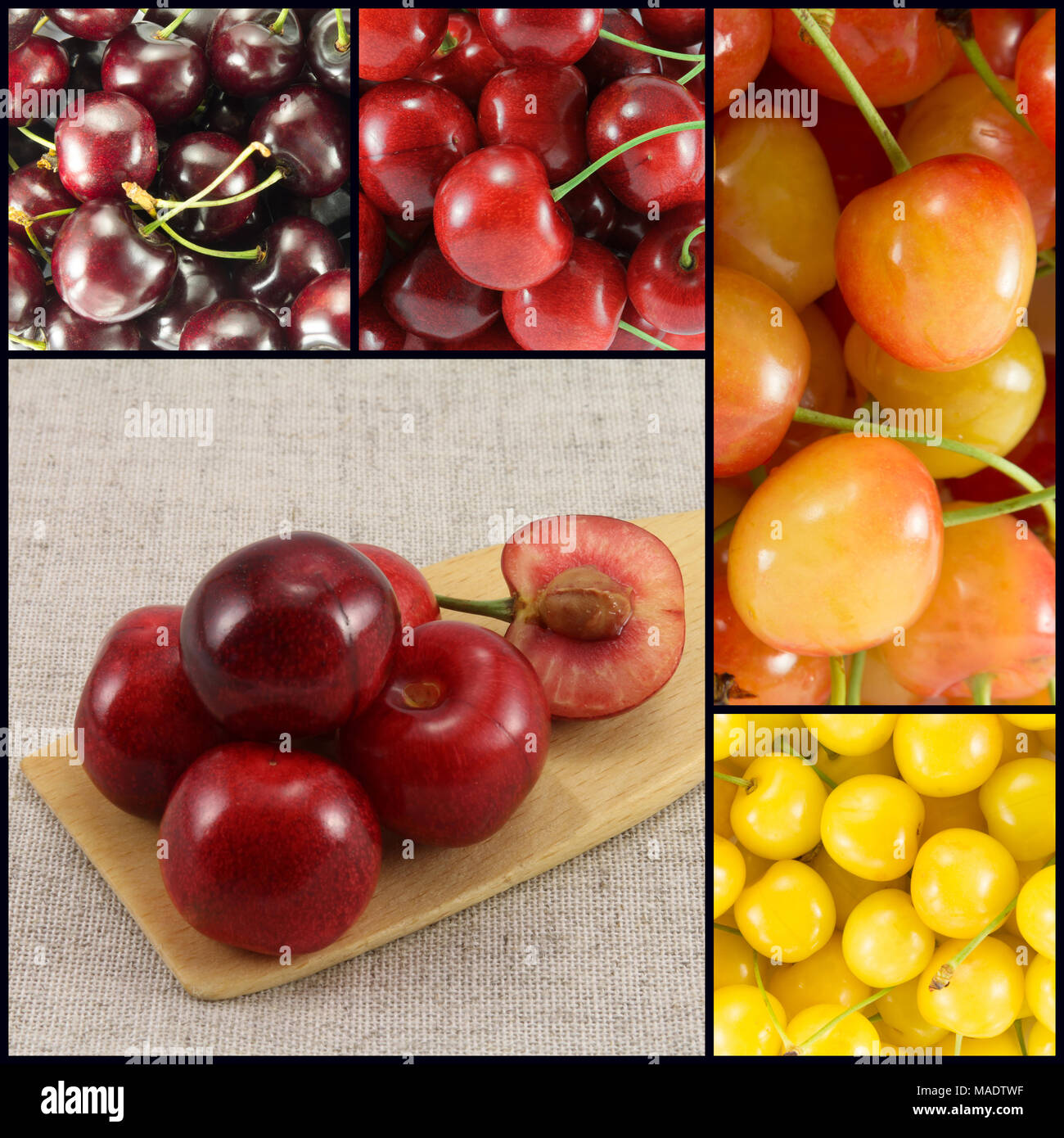 Collage from different varieties of sweet cherry (colorful) - square ...