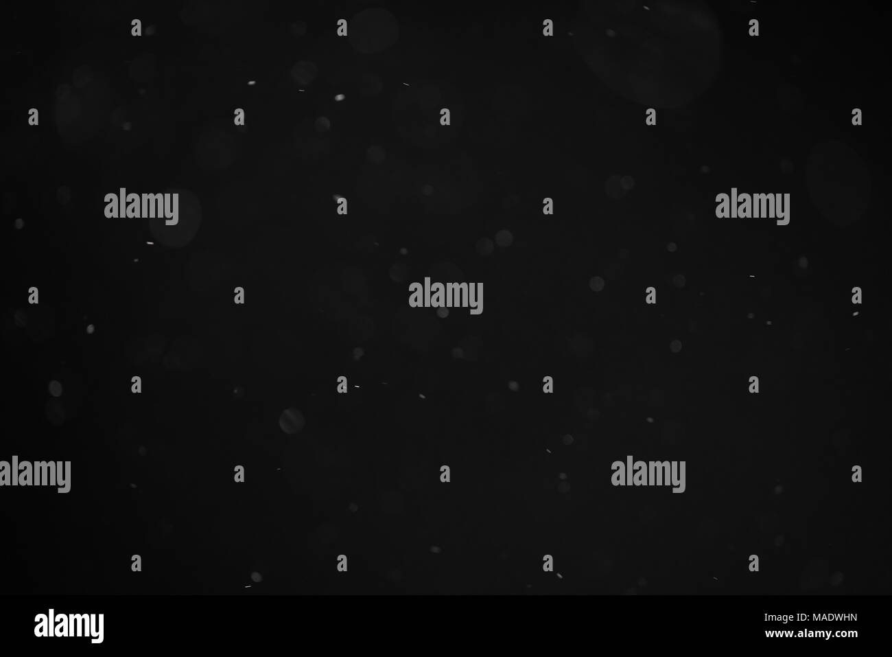 abstract dust particles over black background for overlay, effect Stock ...