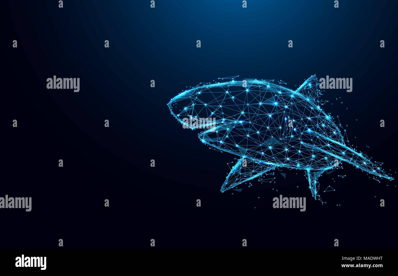 Abstract Shark Form Lines And Triangles Point Connecting Network On Blue Background