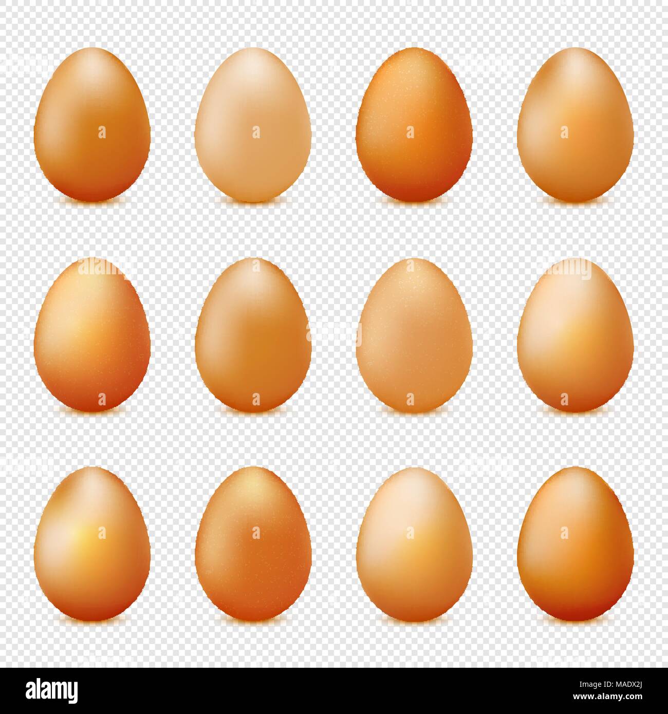 Vector set of realistic eggs on transparent background Stock Vector ...