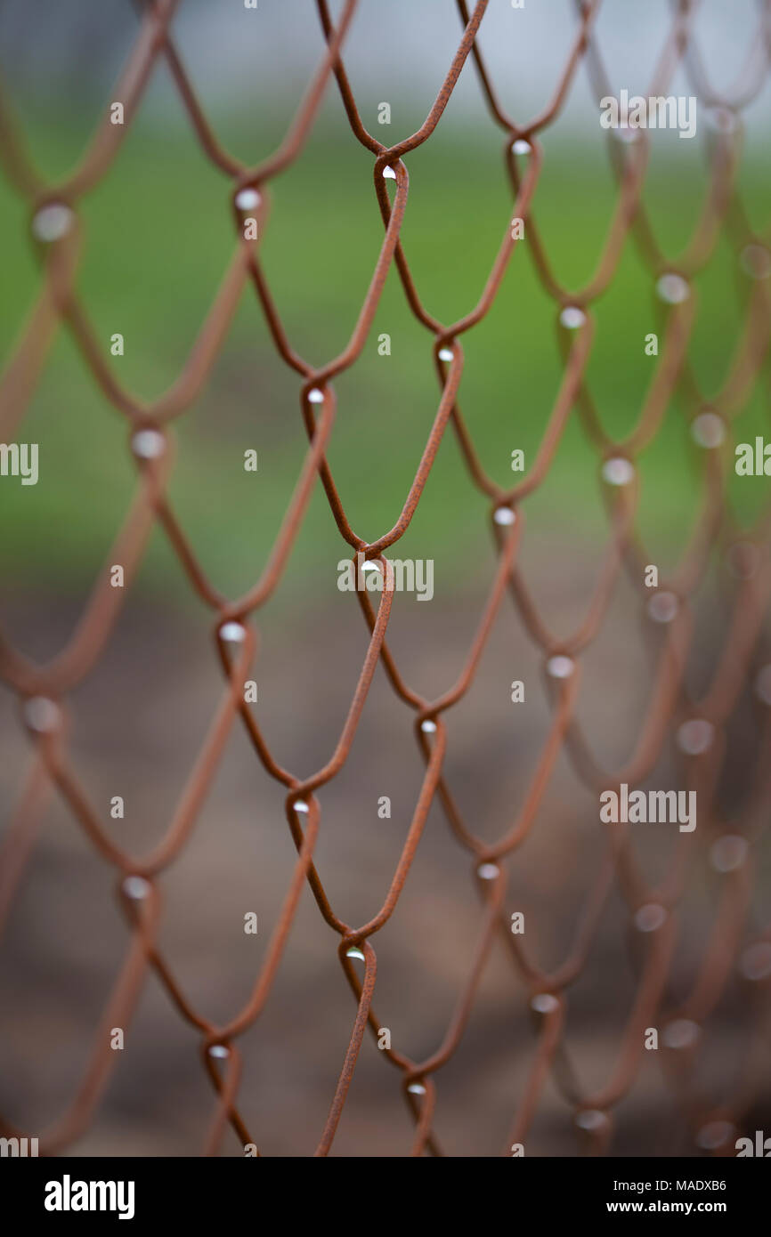 Wire net fence hi-res stock photography and images - Alamy