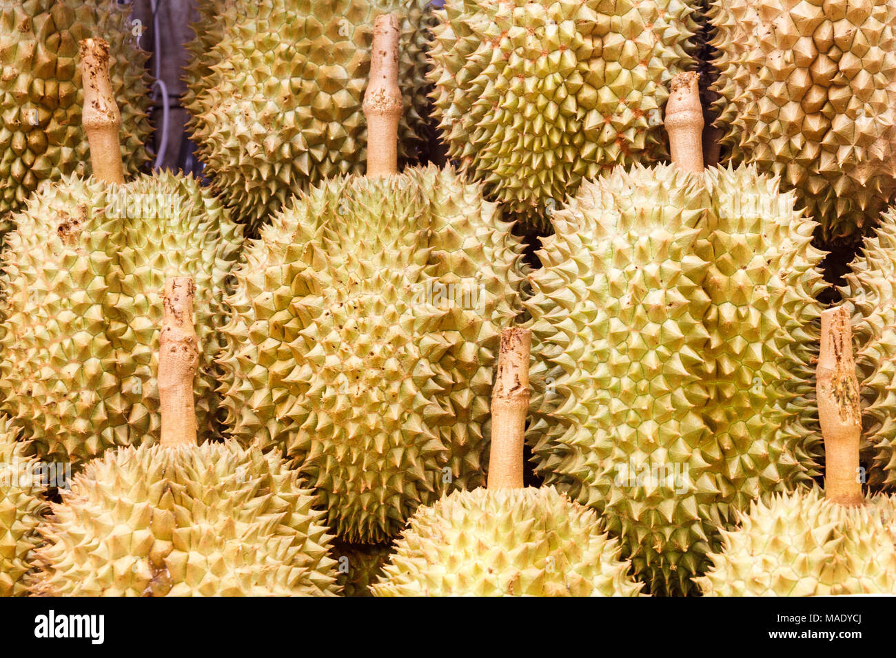 Kor so hi-res stock photography and images - Alamy