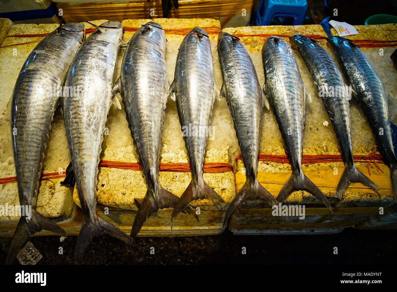 Fresh fish at local market in Ha Long, Vietnam Stock Photo - Alamy