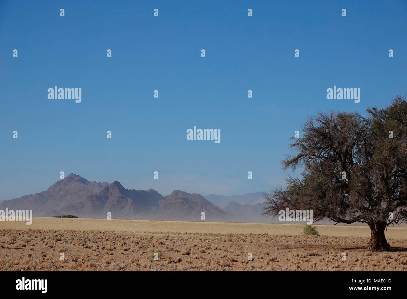 Namibia Namibrand nature reserve Stock Photo - Alamy