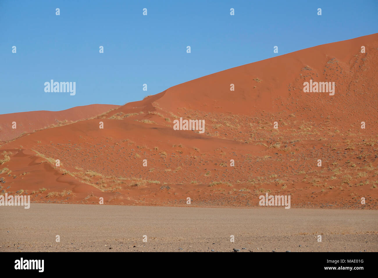 Namibia Namibrand nature reserve Stock Photo - Alamy