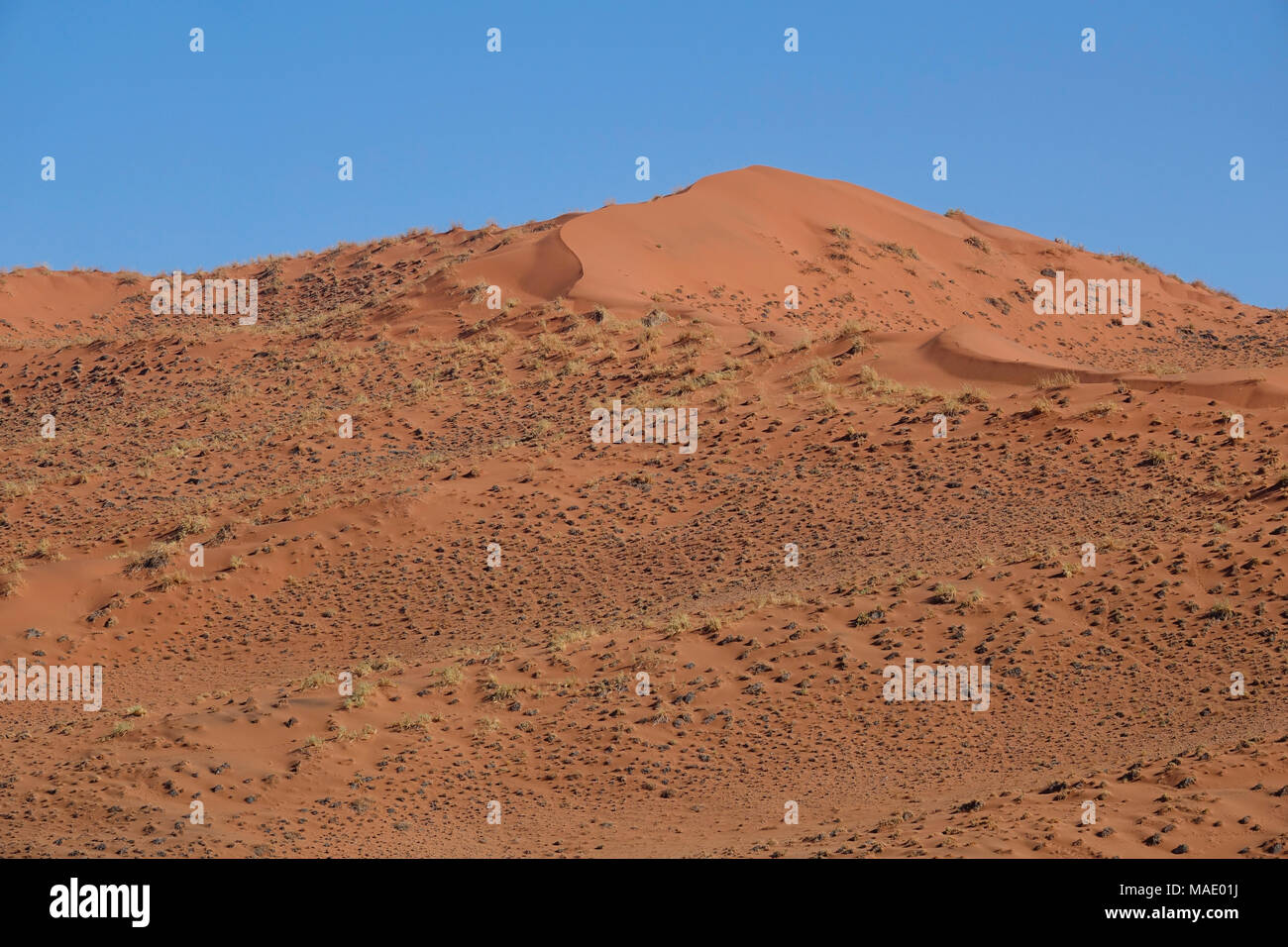 Namibia Namibrand nature reserve Stock Photo - Alamy