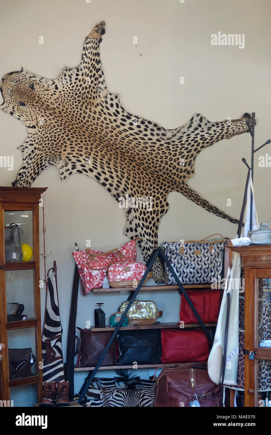 Outjo hi-res stock photography and images - Alamy