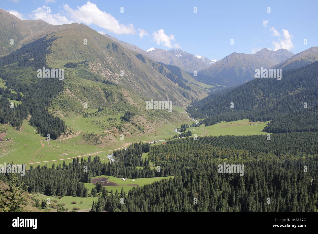 Mountains wild nature Stock Photo - Alamy