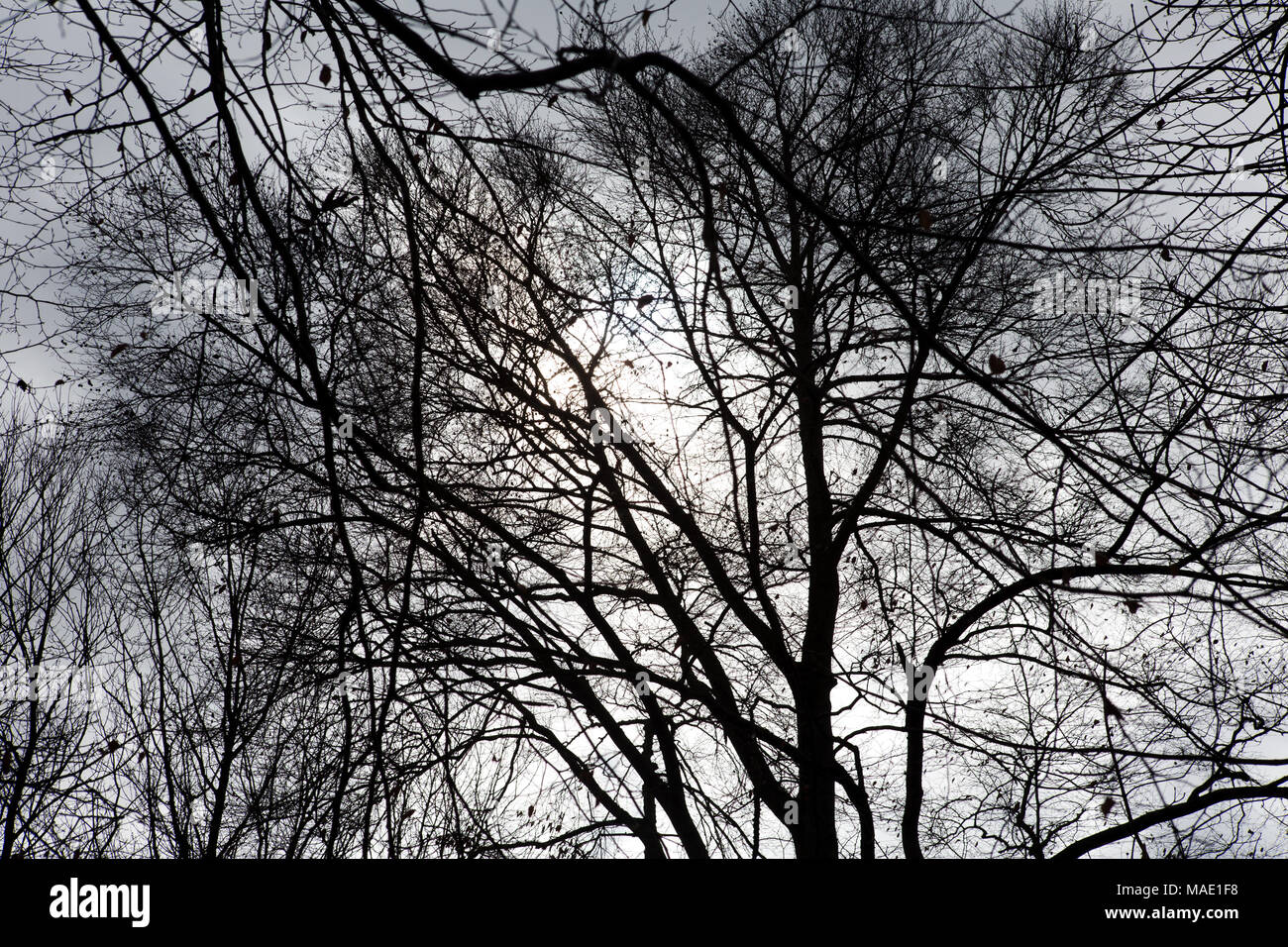 Mystic view hi-res stock photography and images - Alamy