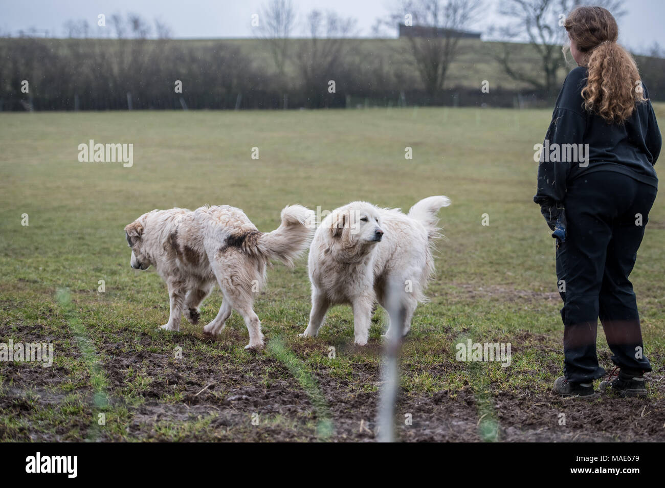 Guido kirchner hi-res stock photography and images - Alamy