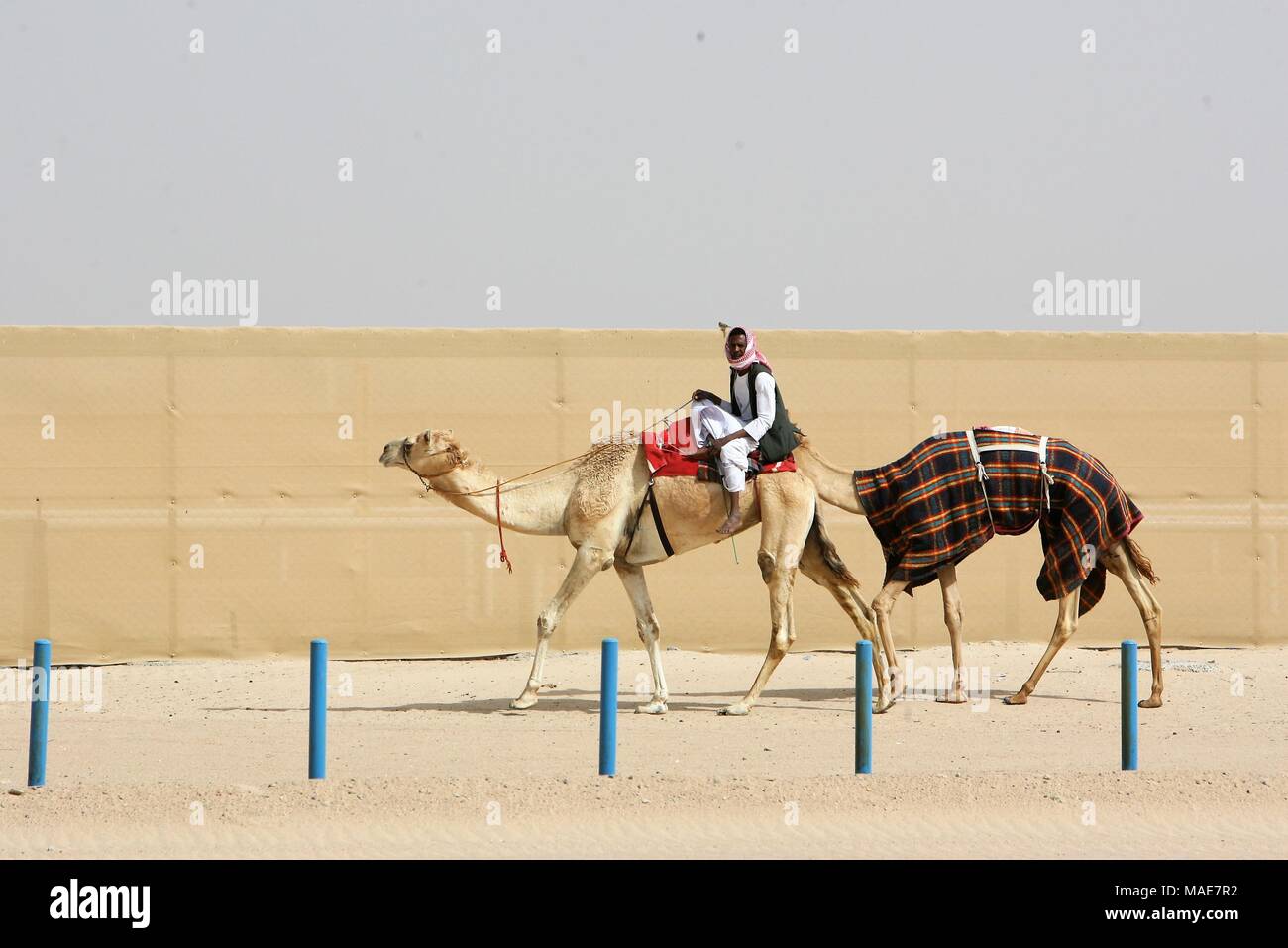 Kuwait City. 31st Mar, 2018. Photo taken on March 31, 2018 shows racing ...
