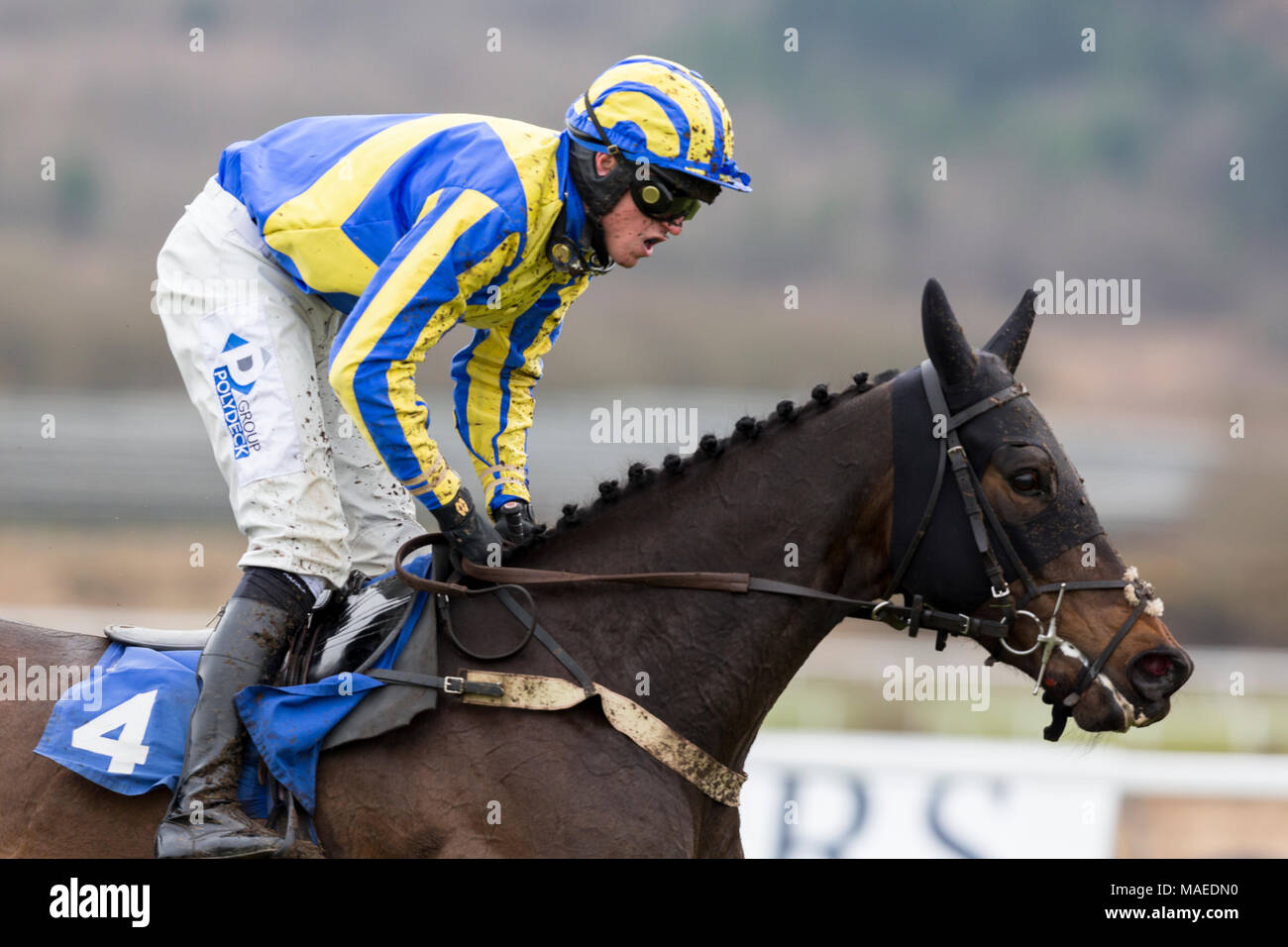 Lorcan williams hi-res stock photography and images - Alamy