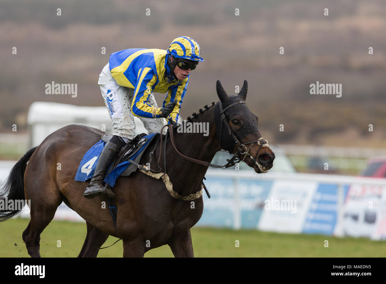 Lorcan williams hi-res stock photography and images - Alamy