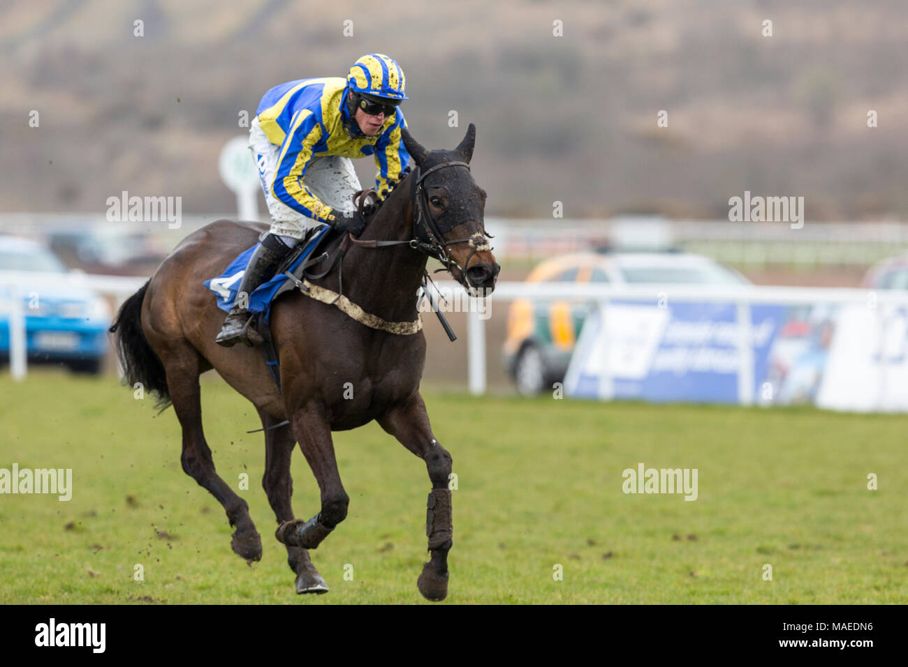 Lorcan williams hi-res stock photography and images - Alamy