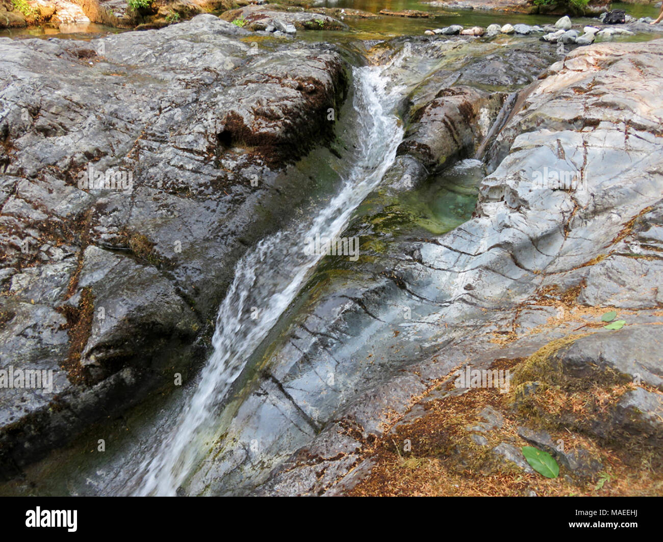 Natural Rock Water Slide at Opal Creek Wilderness in OR Stock Photo - Alamy