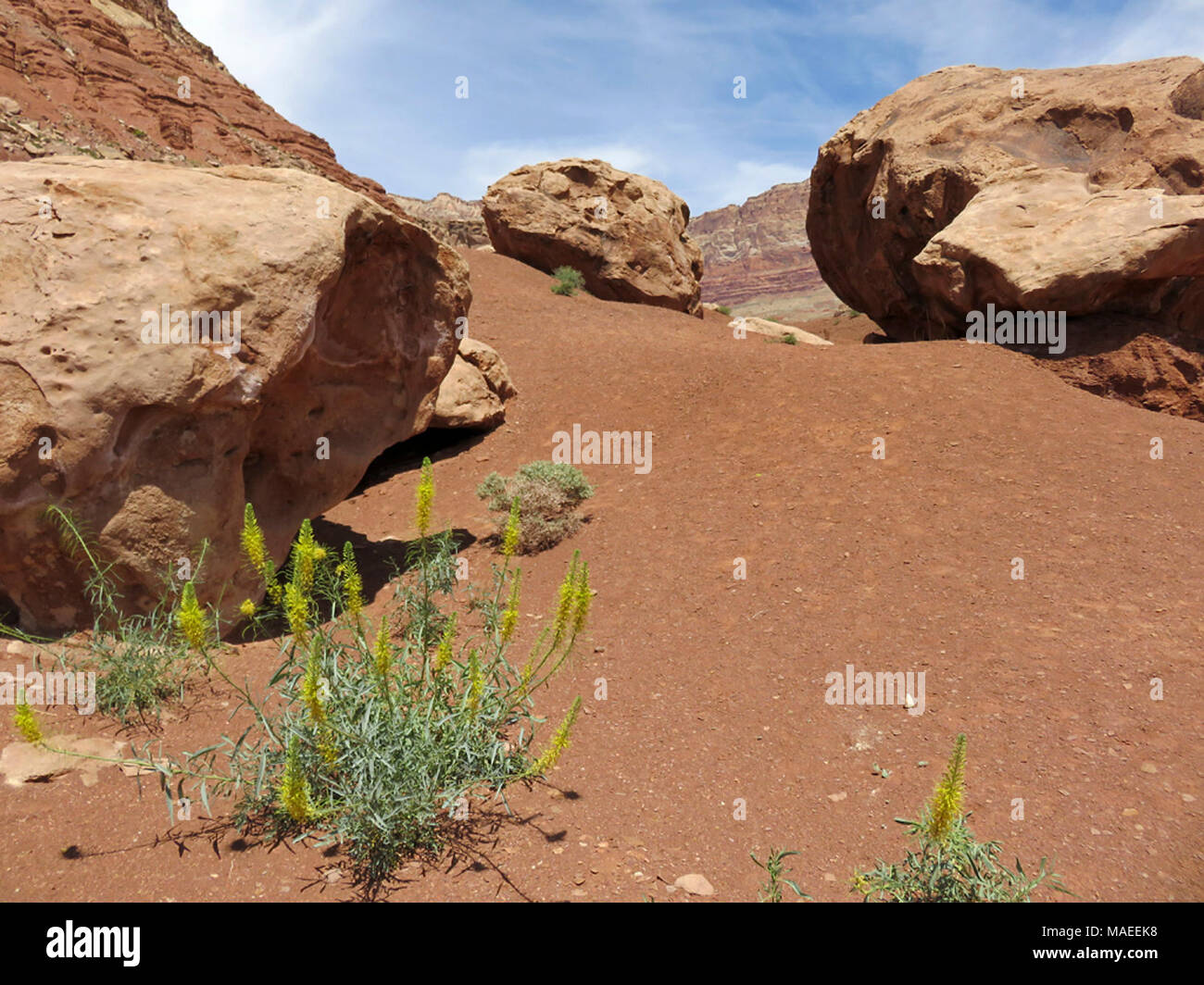 Navajo Land in AZ Stock Photo - Alamy