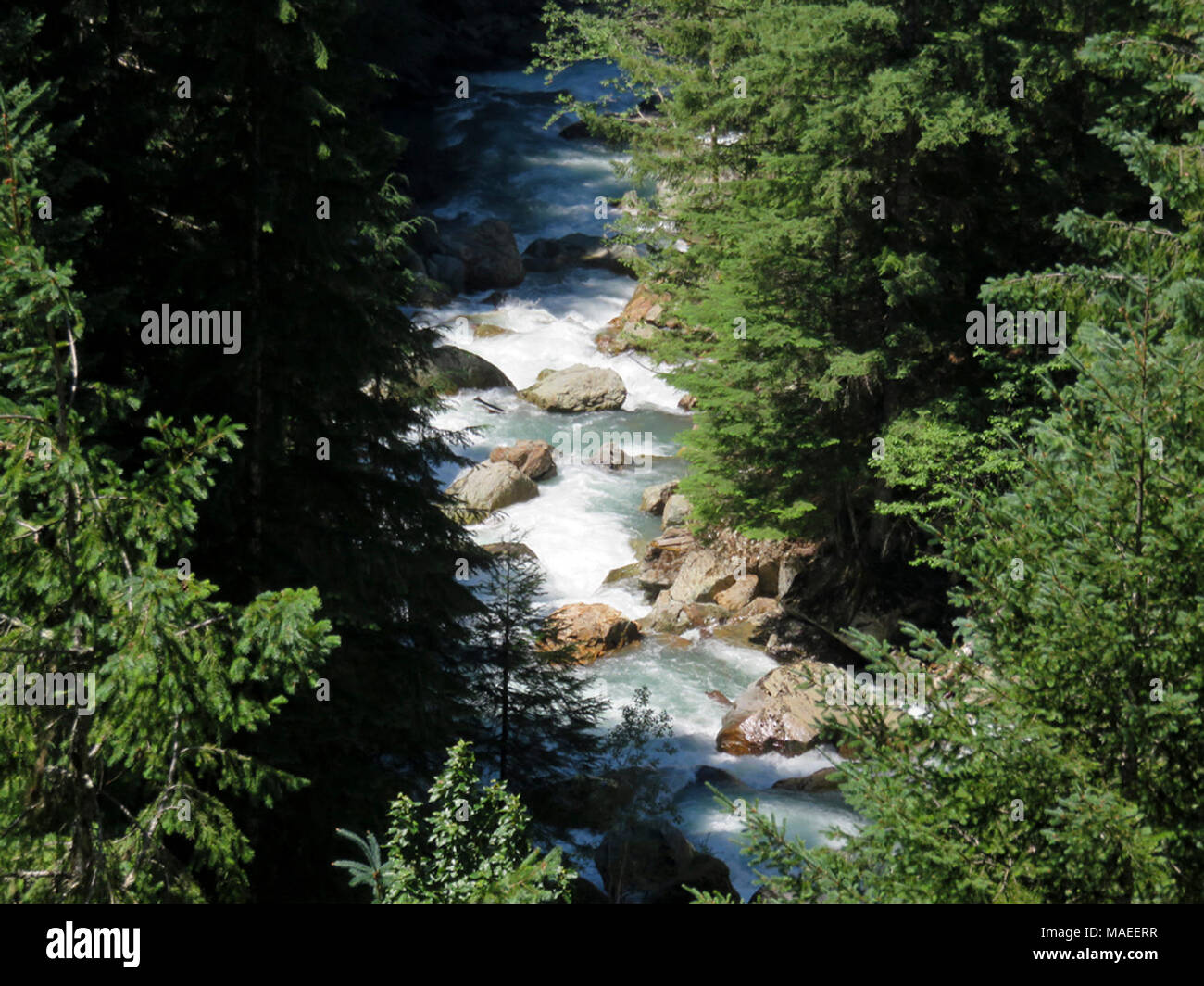 Nooksack River at Mt Baker-Snoqualmie NF in WA Stock Photo - Alamy