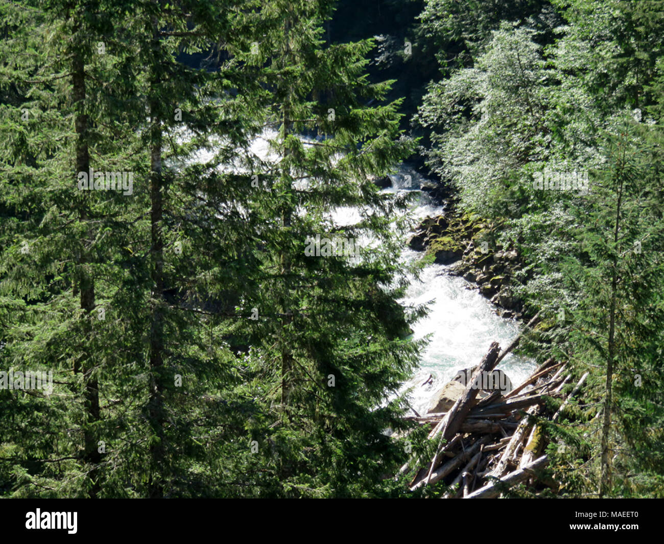 Nooksack River at Mt Baker-Snoqualmie NF in WA Stock Photo - Alamy