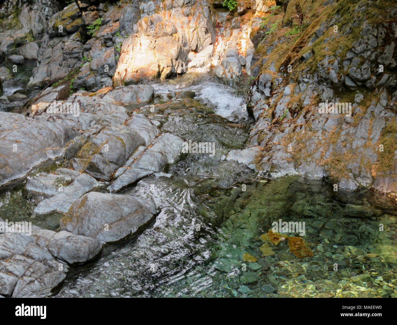 Opal Creek Pool in OR Stock Photo - Alamy