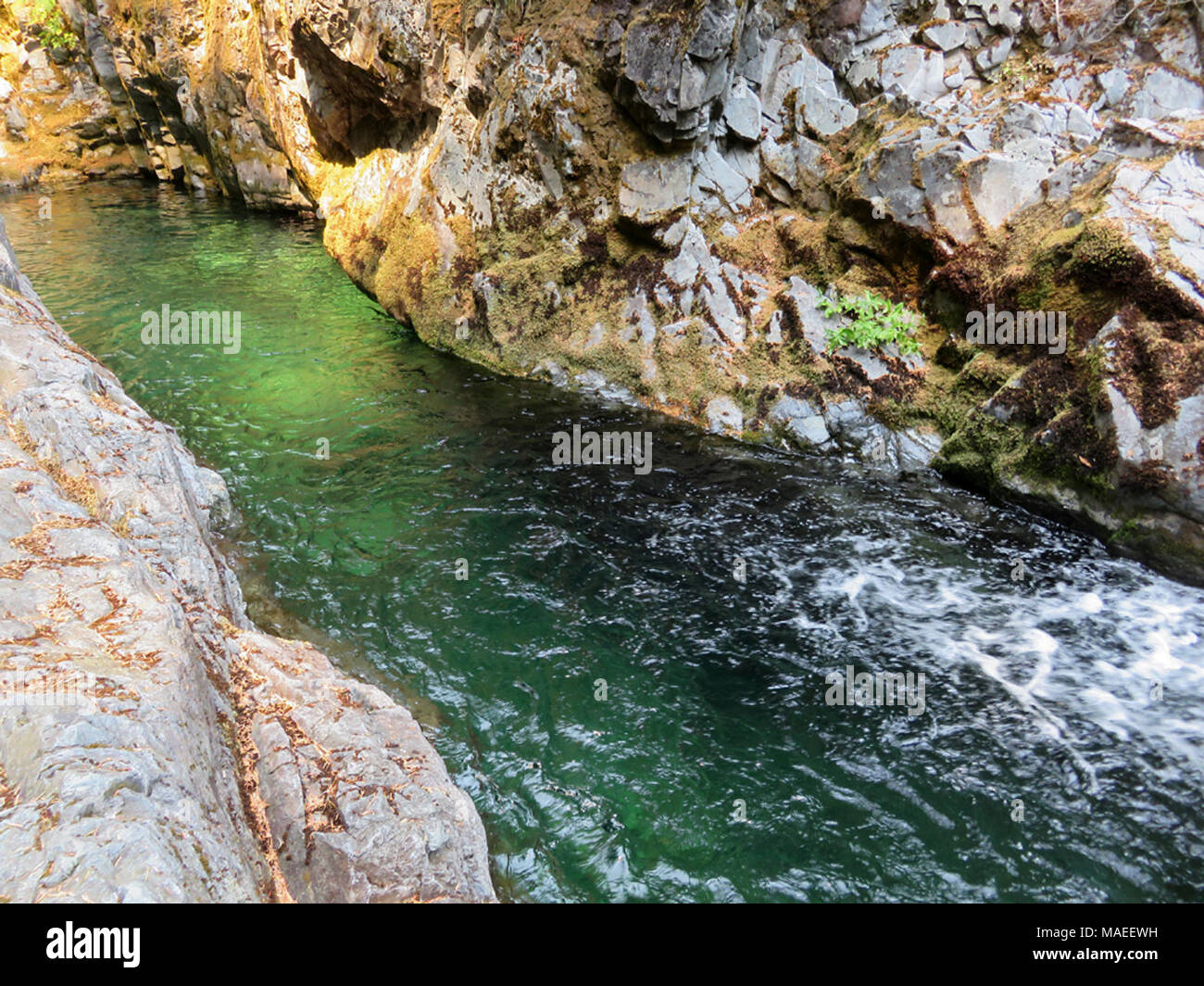 Opal Creek Pool in OR Stock Photo - Alamy
