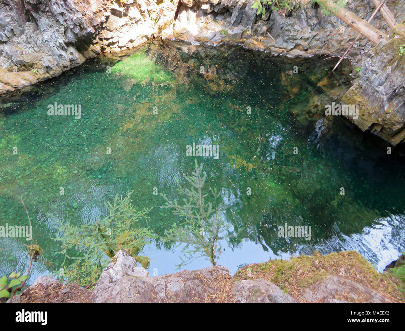 Opal Creek Pool in OR Stock Photo - Alamy