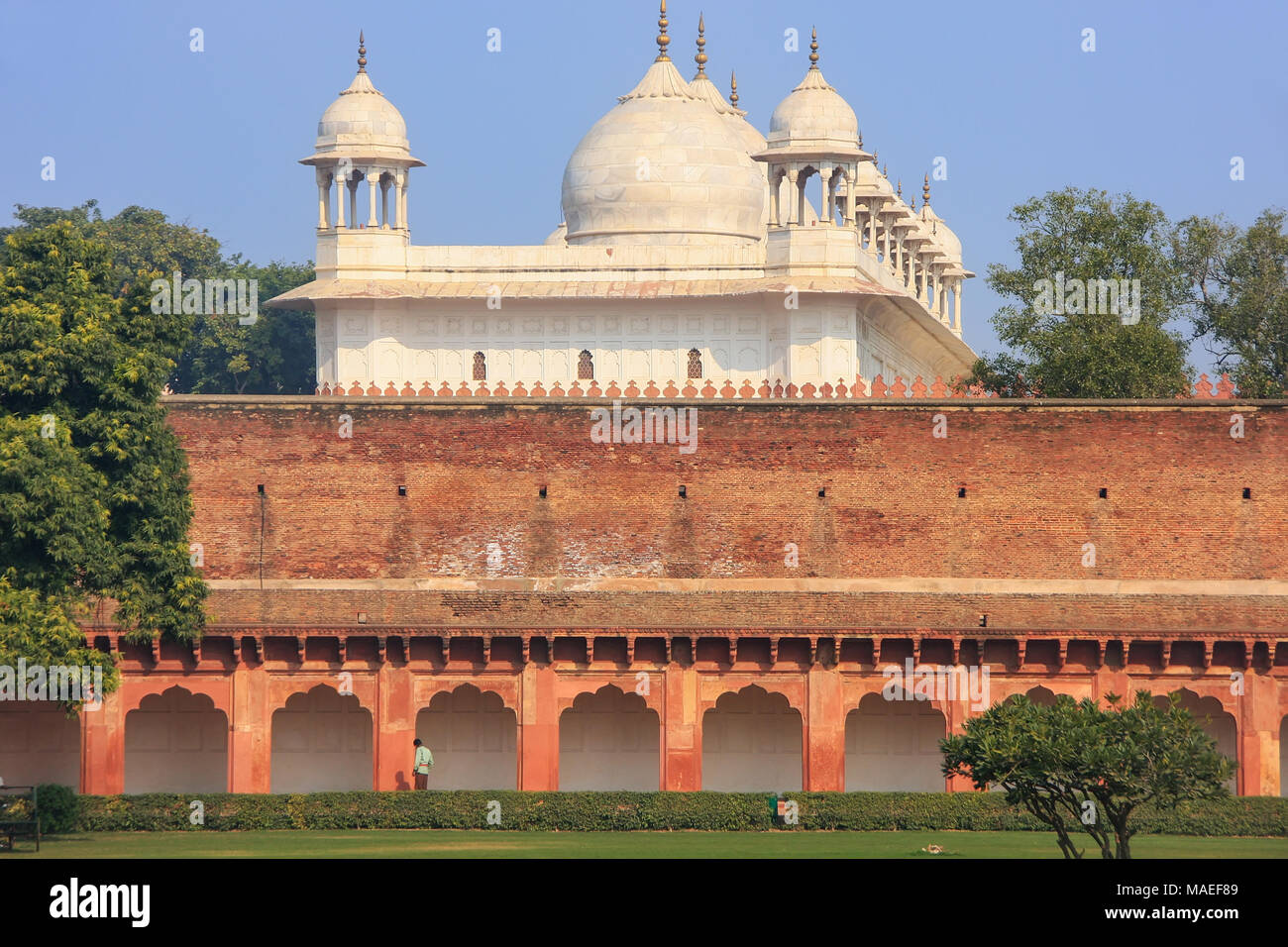 Moti masjid red fort hi-res stock photography and images - Alamy