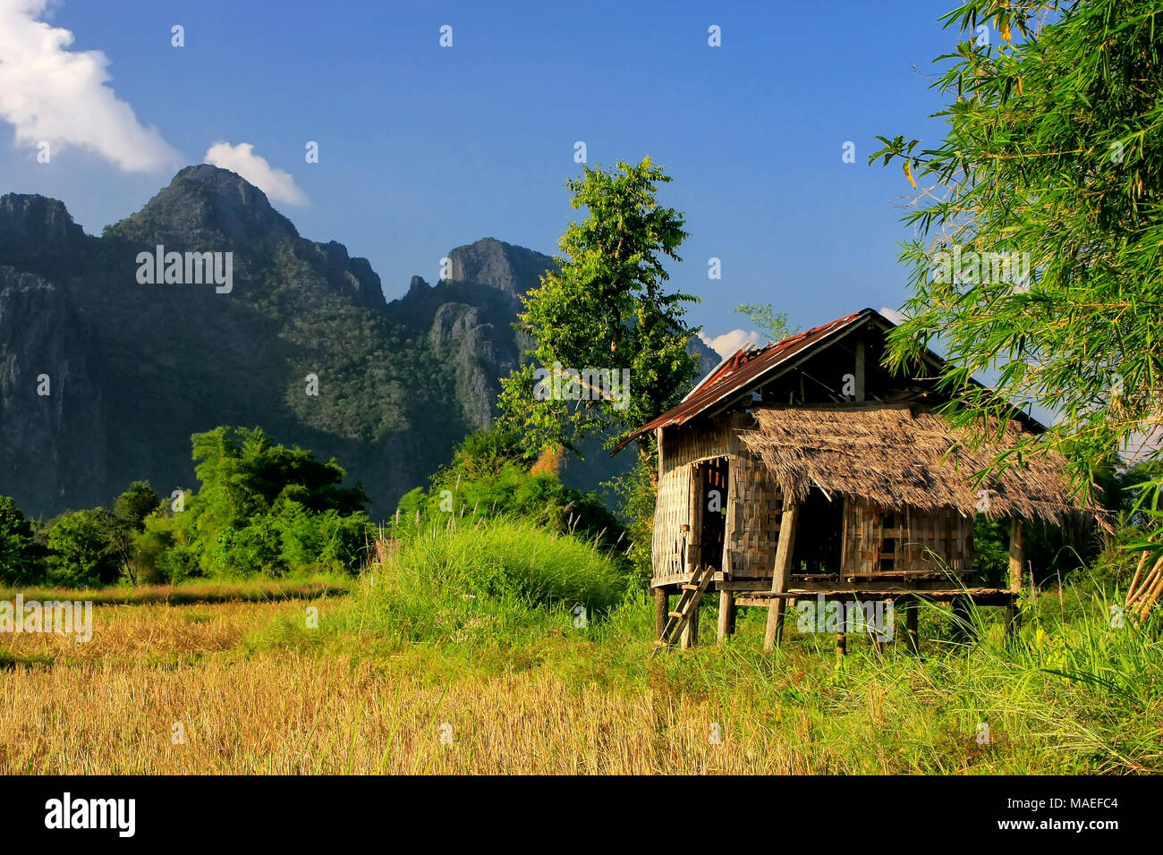 Farmer's hut on a field in Vang Vieng, Laos. Vang Vieng is a popular ...