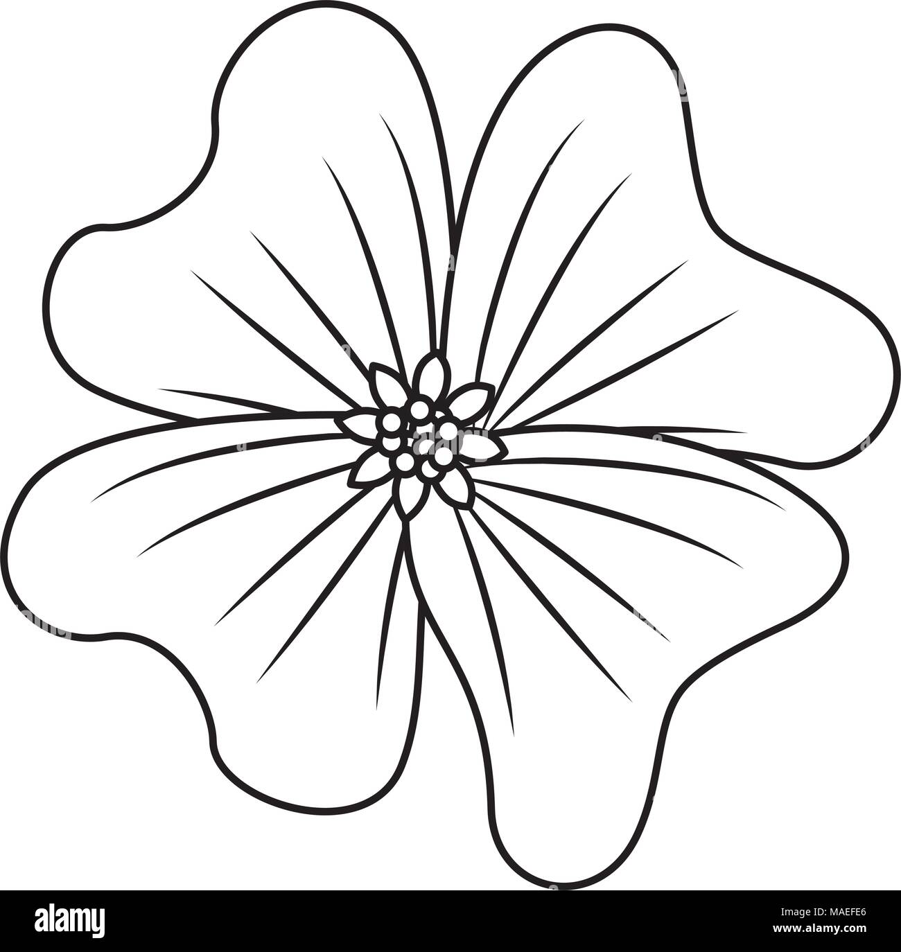 cute flower petals decoration image vector illustration Stock Vector ...