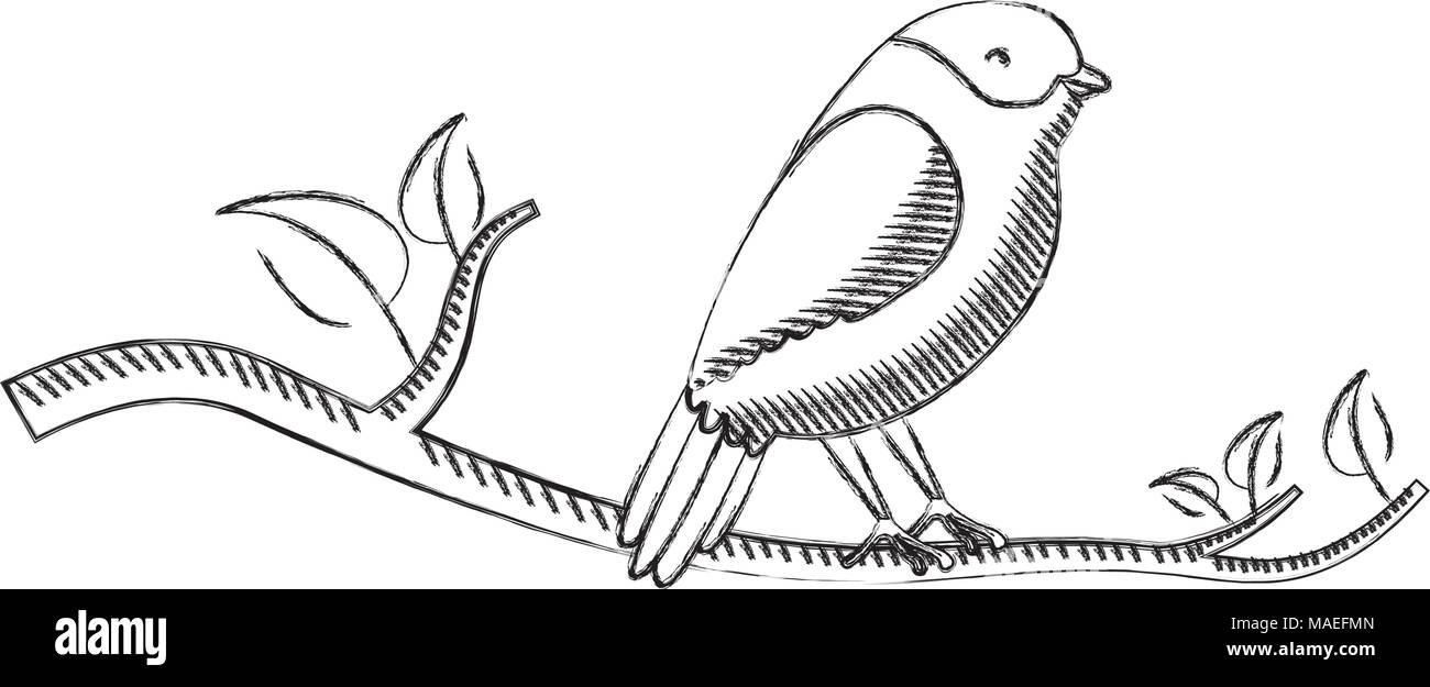 vintage decoration bird in the tree branch vector illustration Stock ...