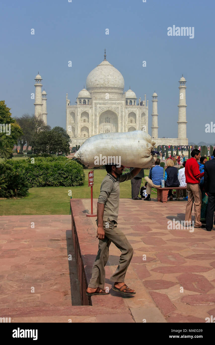 Taj Mahal Memes