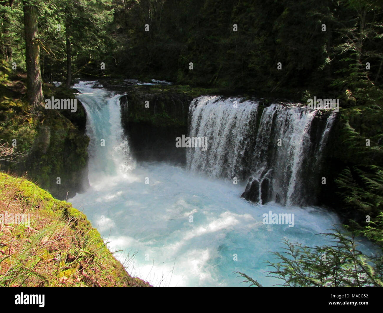 Spirit Falls at White Salmon River in WA Stock Photo - Alamy