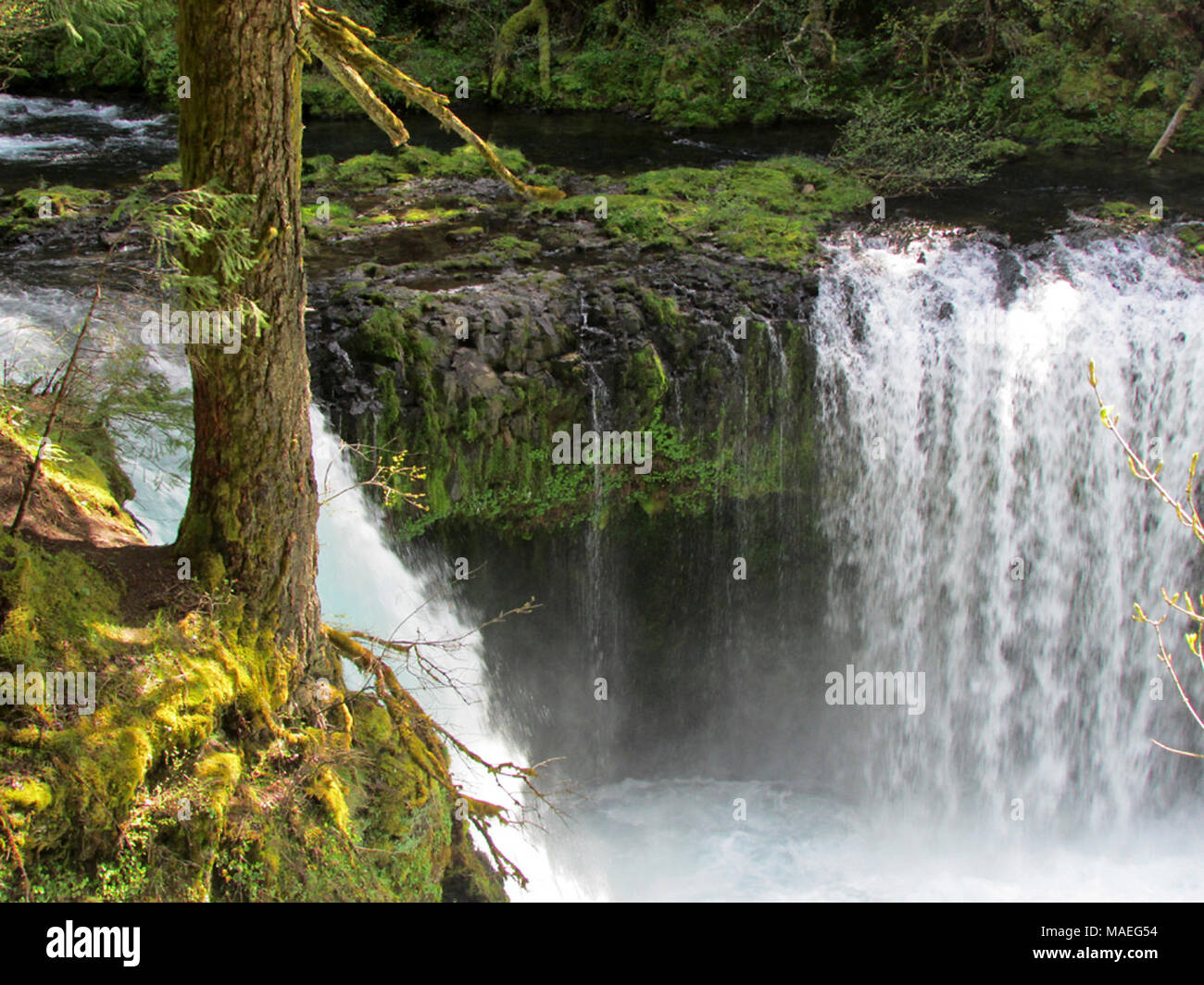 Spirit Falls at White Salmon River in WA Stock Photo - Alamy