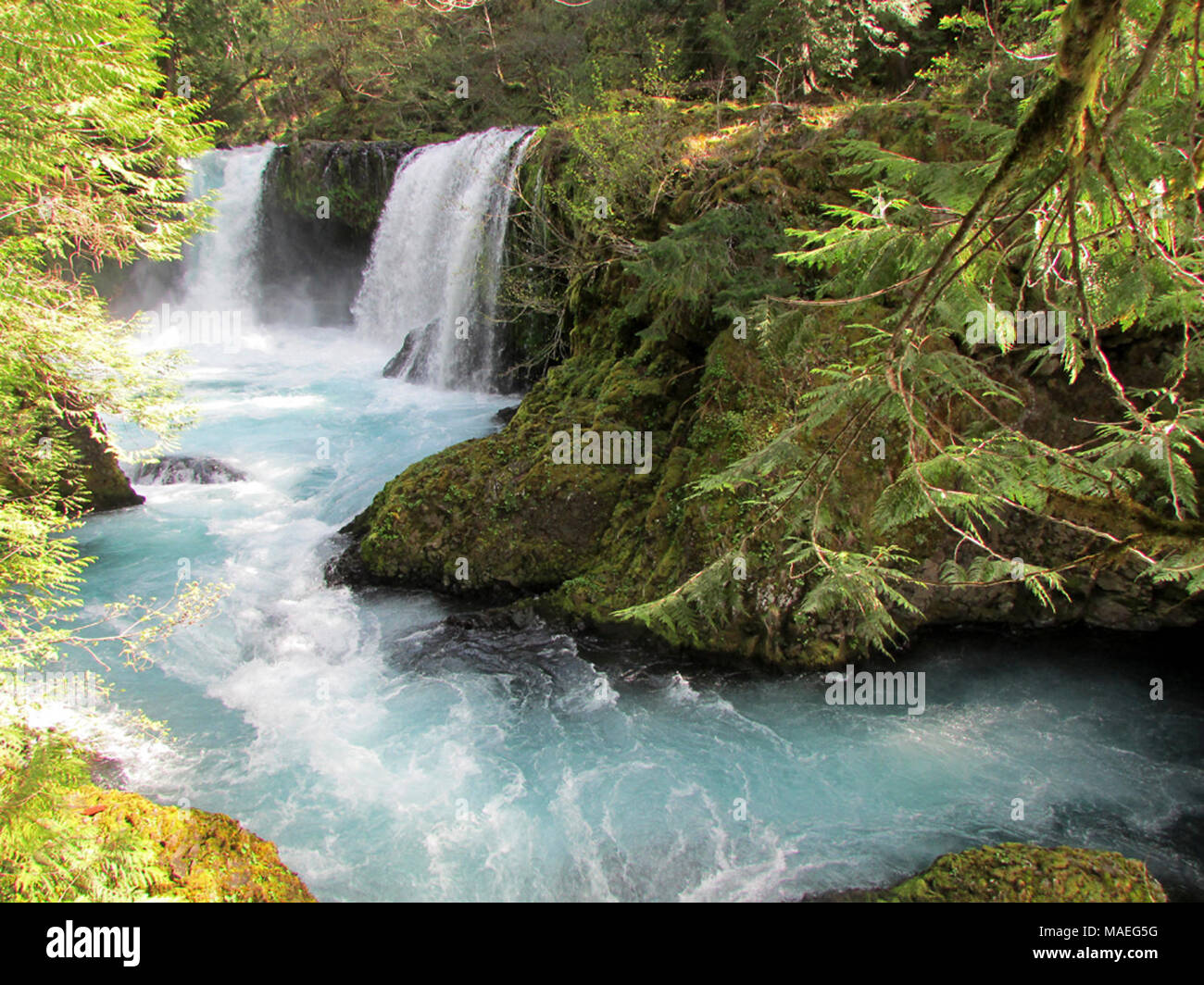 Spirit Falls at White Salmon River in WA Stock Photo - Alamy