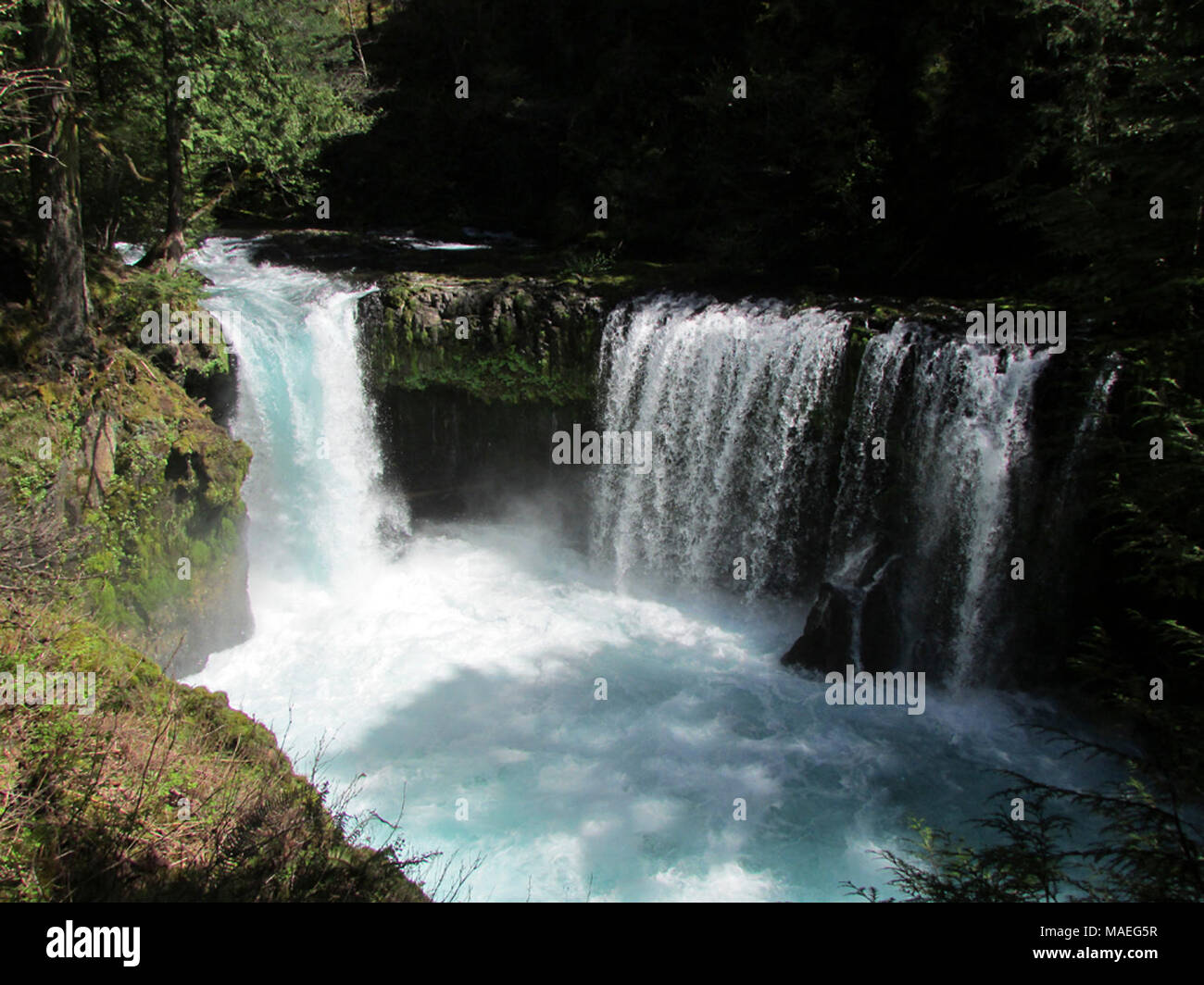 Spirit Falls at White Salmon River in WA Stock Photo - Alamy