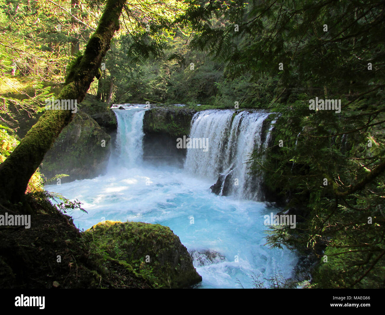 Spirit Falls at White Salmon River in WA Stock Photo - Alamy