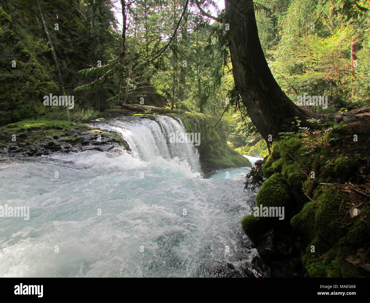 Spirit Falls at White Salmon River in WA Stock Photo - Alamy