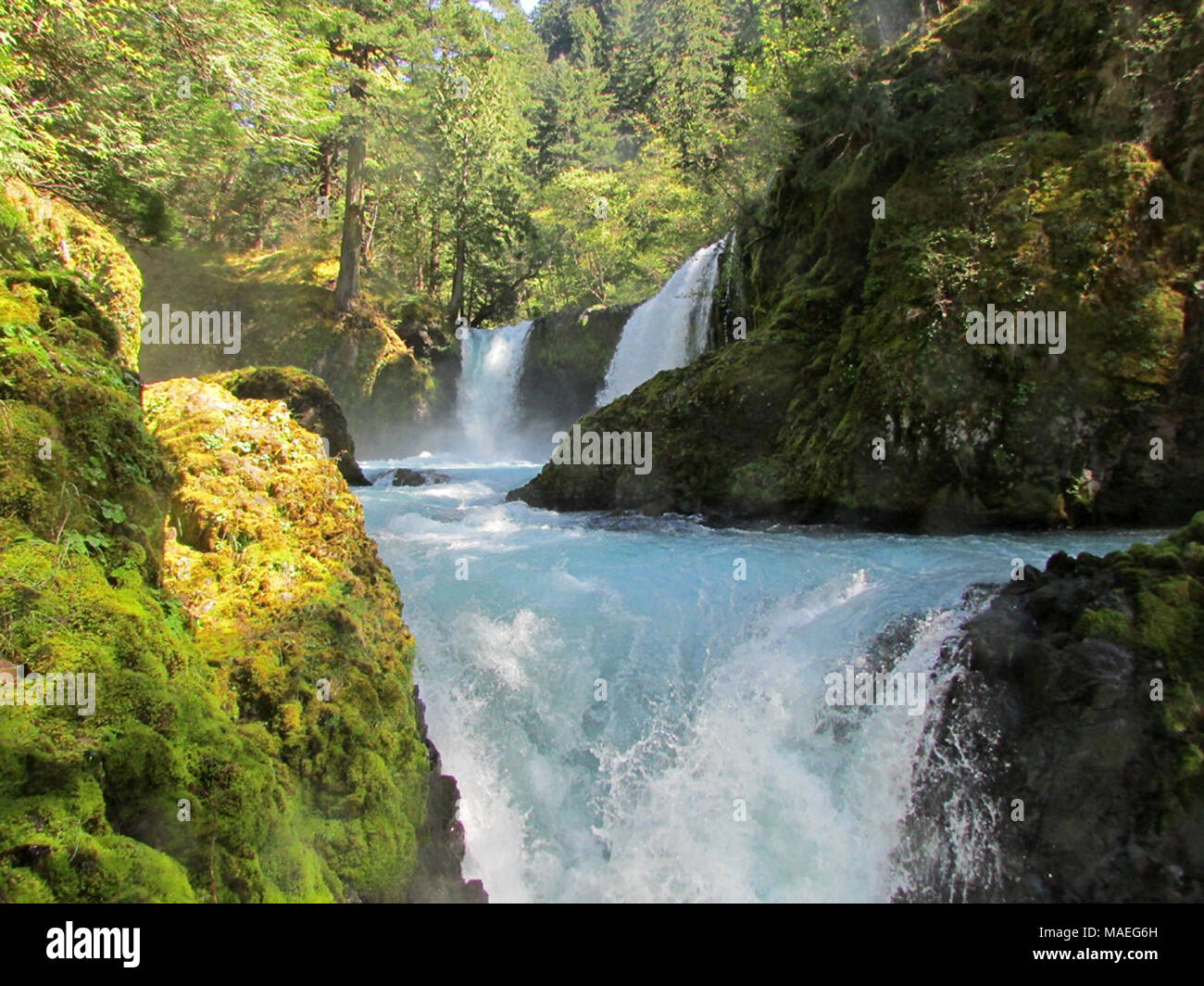 Spirit Falls at White Salmon River in WA Stock Photo - Alamy