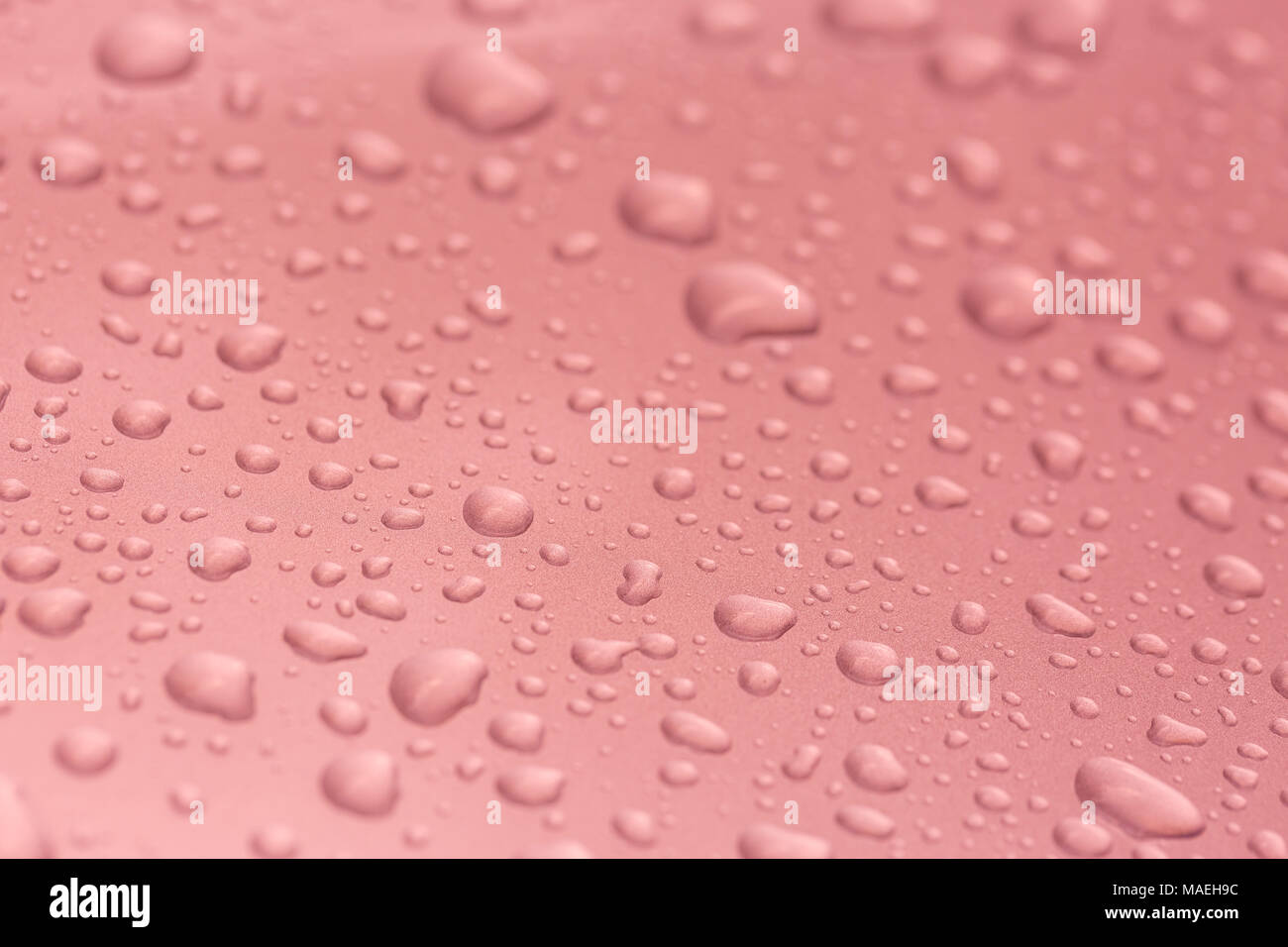 pink water drops background Stock Photo - Alamy