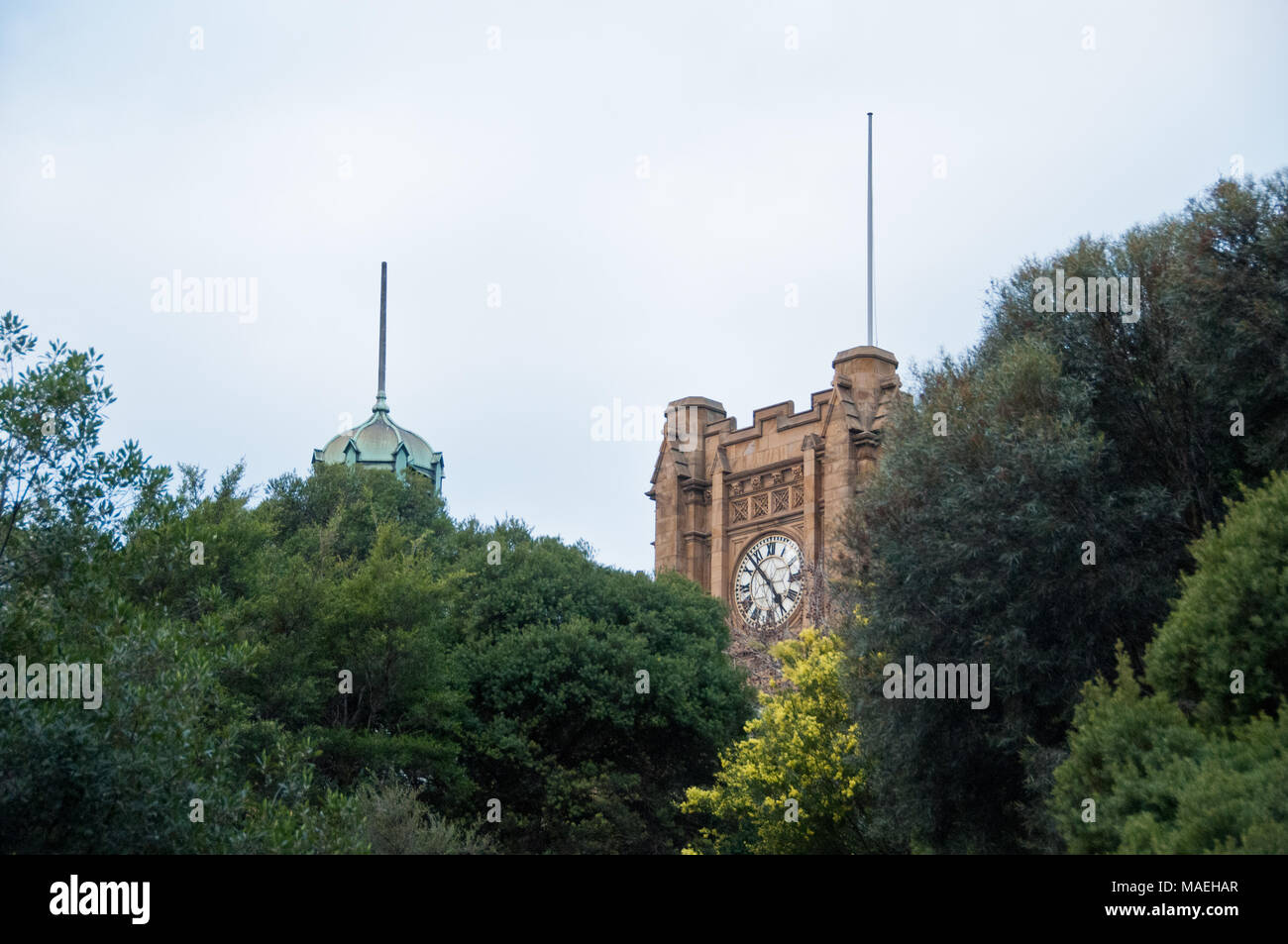 Classic sandstone clock tower in a forest Stock Photo - Alamy
