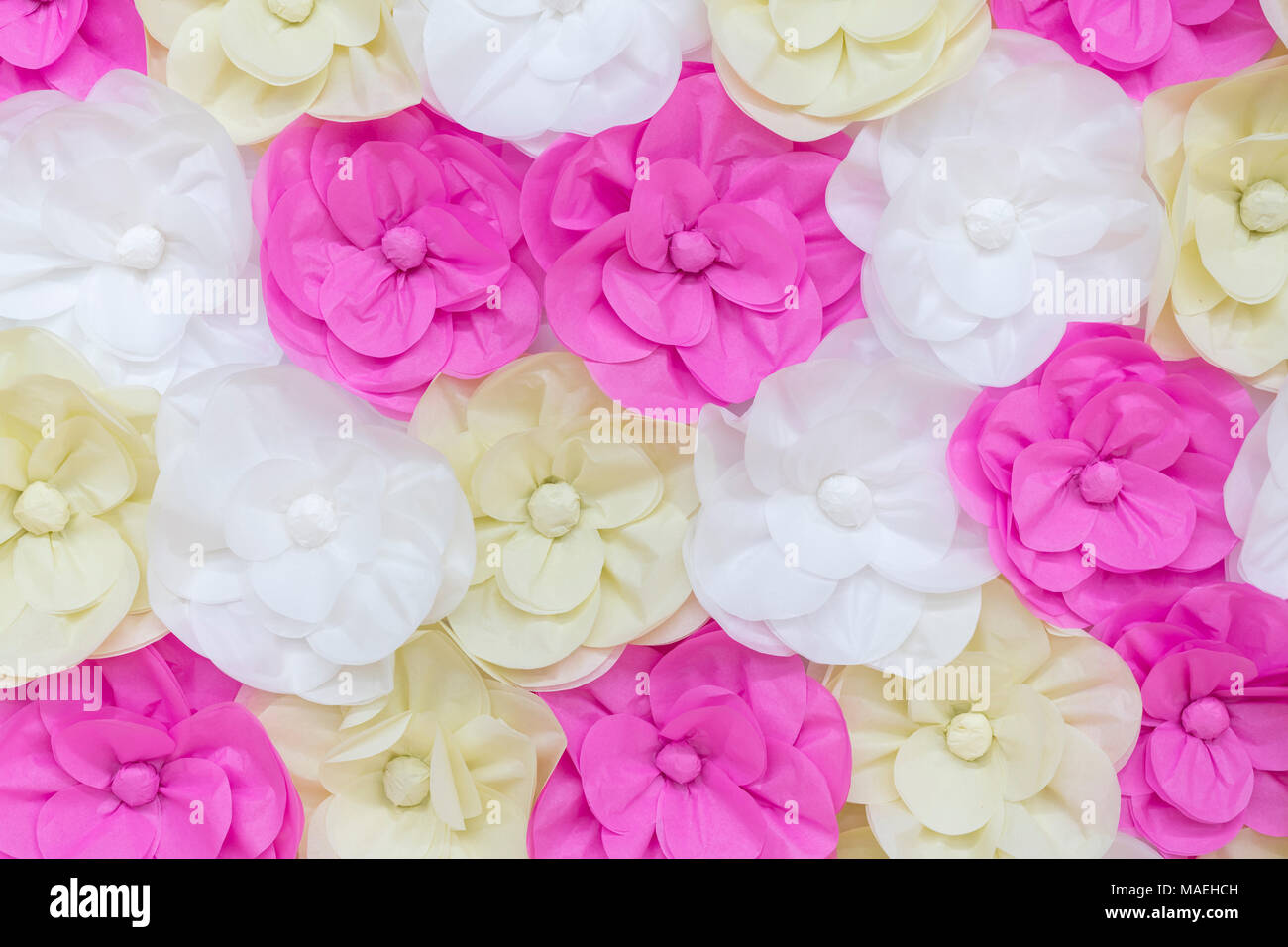 Large colored paper flowers background Stock Photo - Alamy