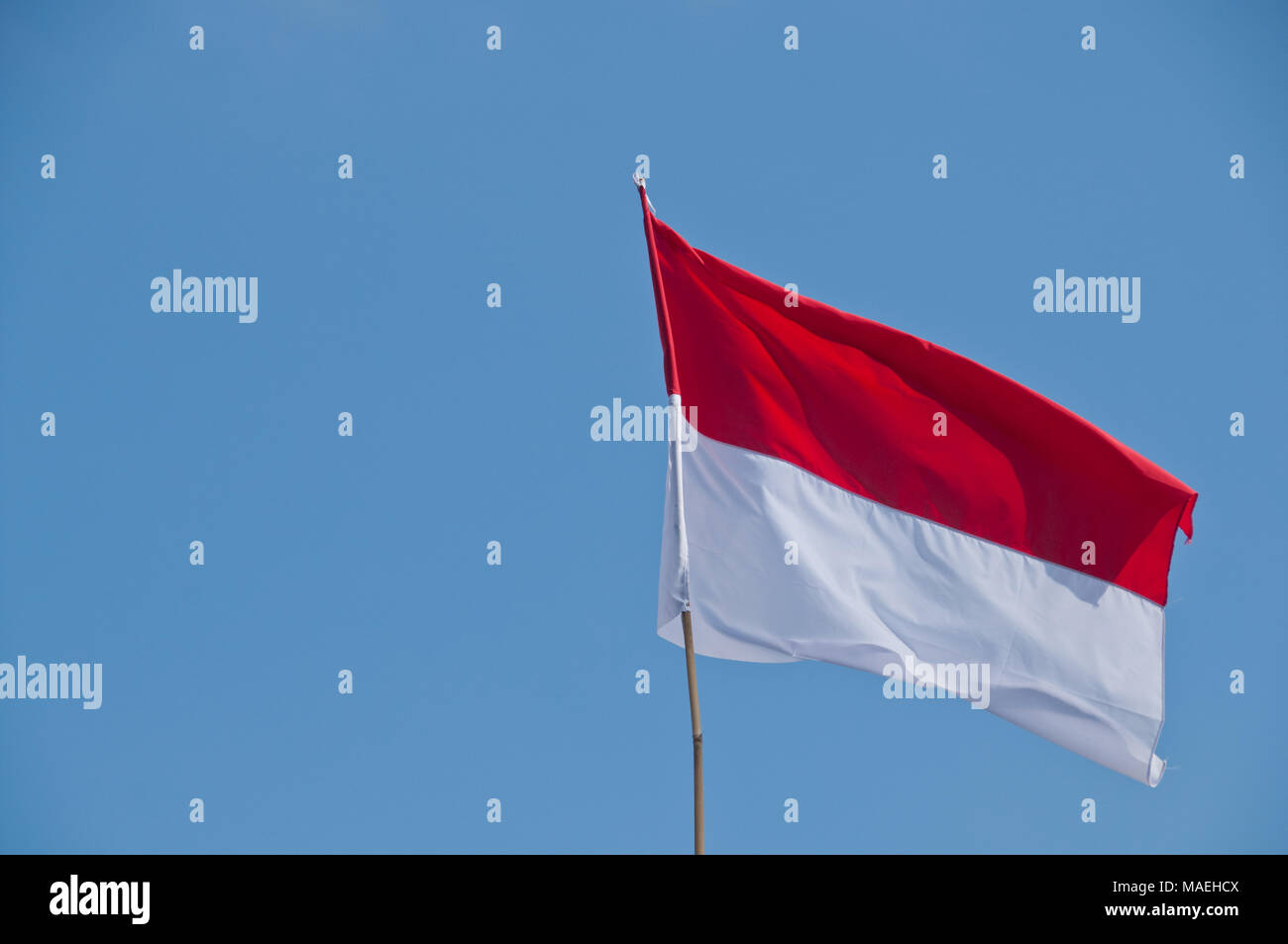 White and Red national flag of Indonesia with blue sky Stock Photo - Alamy
