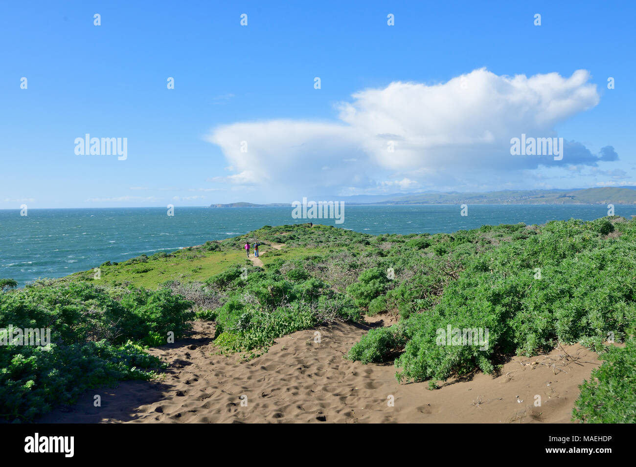 Paradise coast trail hi-res stock photography and images - Alamy